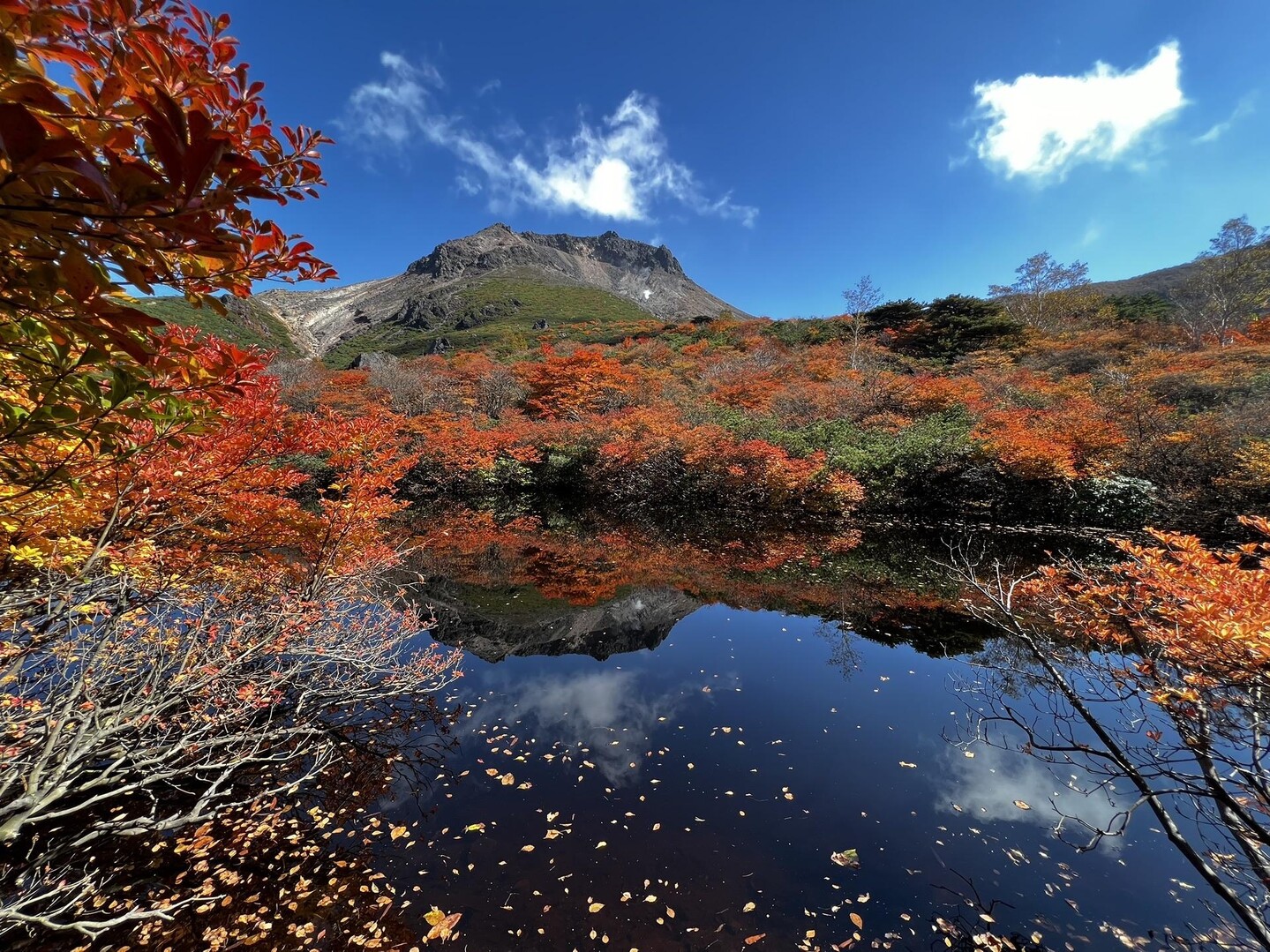那須、姥ケ平の紅葉を見に🍁🍂🎶 / medamonさんの茶臼岳（那須岳）・三本槍岳・赤面山の活動データ | YAMAP / ヤマップ