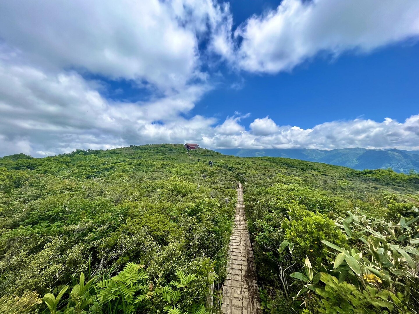 赤兎山 / mitsu32さんの赤兎山・猪鼻山の活動データ | YAMAP / ヤマップ