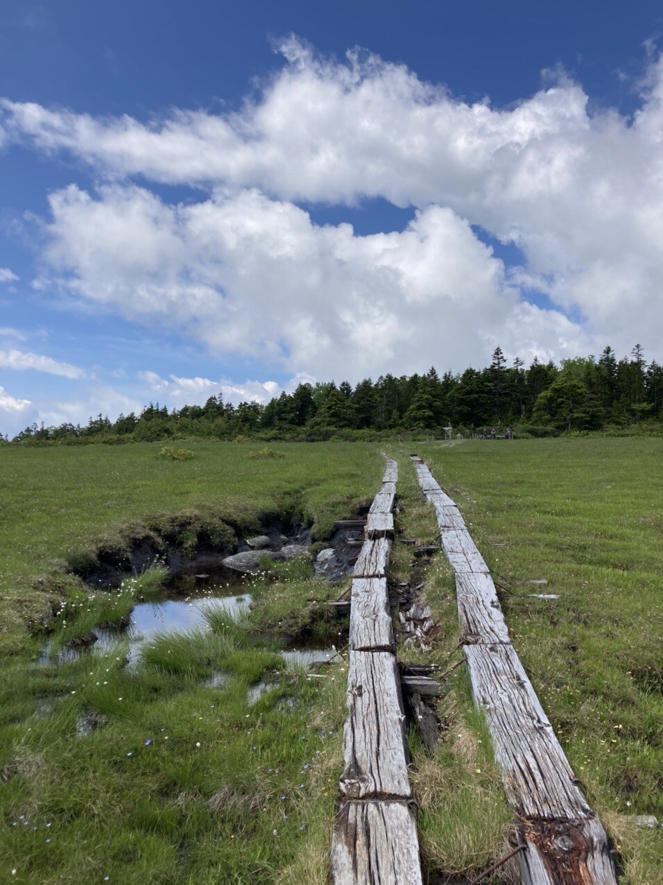 田代山・帝釈山・台倉高山 / aji_sanさんの田代山・帝釈山の活動データ | YAMAP / ヤマップ