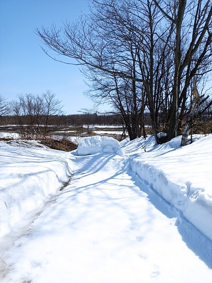 サイクリングに行ってきました!😊 総距... / KAI!さんのモーメント | YAMAP / ヤマップ