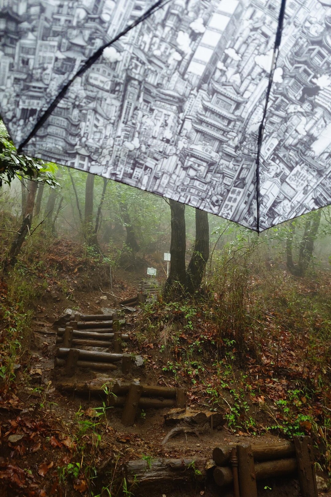 おねぼうモーニング 29分登頂 / ta2さんの鳴神山・吾妻山の活動データ | YAMAP / ヤマップ