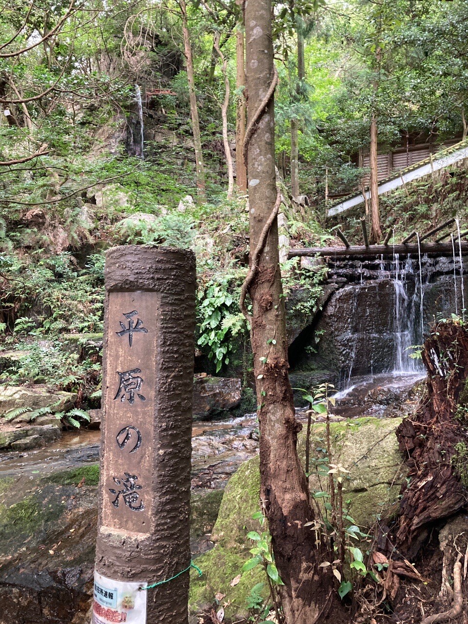 三河の聖地⁉️初🎉茶臼山⛰ / sugar gooさんの茶臼山・万灯山の活動データ | YAMAP / ヤマップ