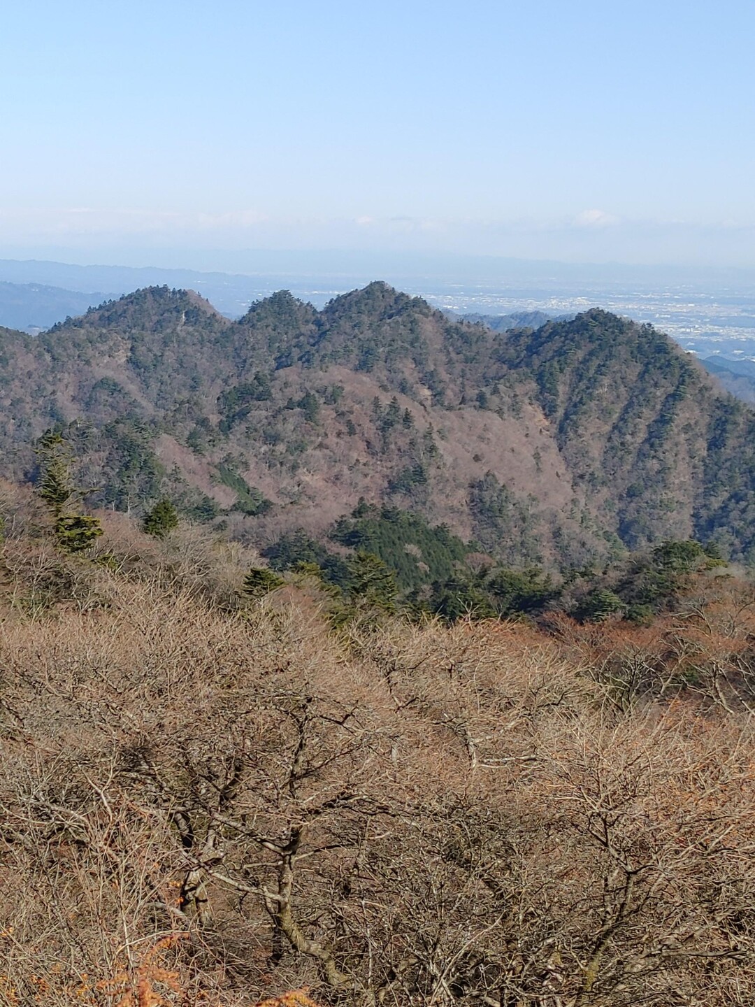 大山・三峰山(大山三峰山) / dodoさんの大山の活動データ | YAMAP / ヤマップ