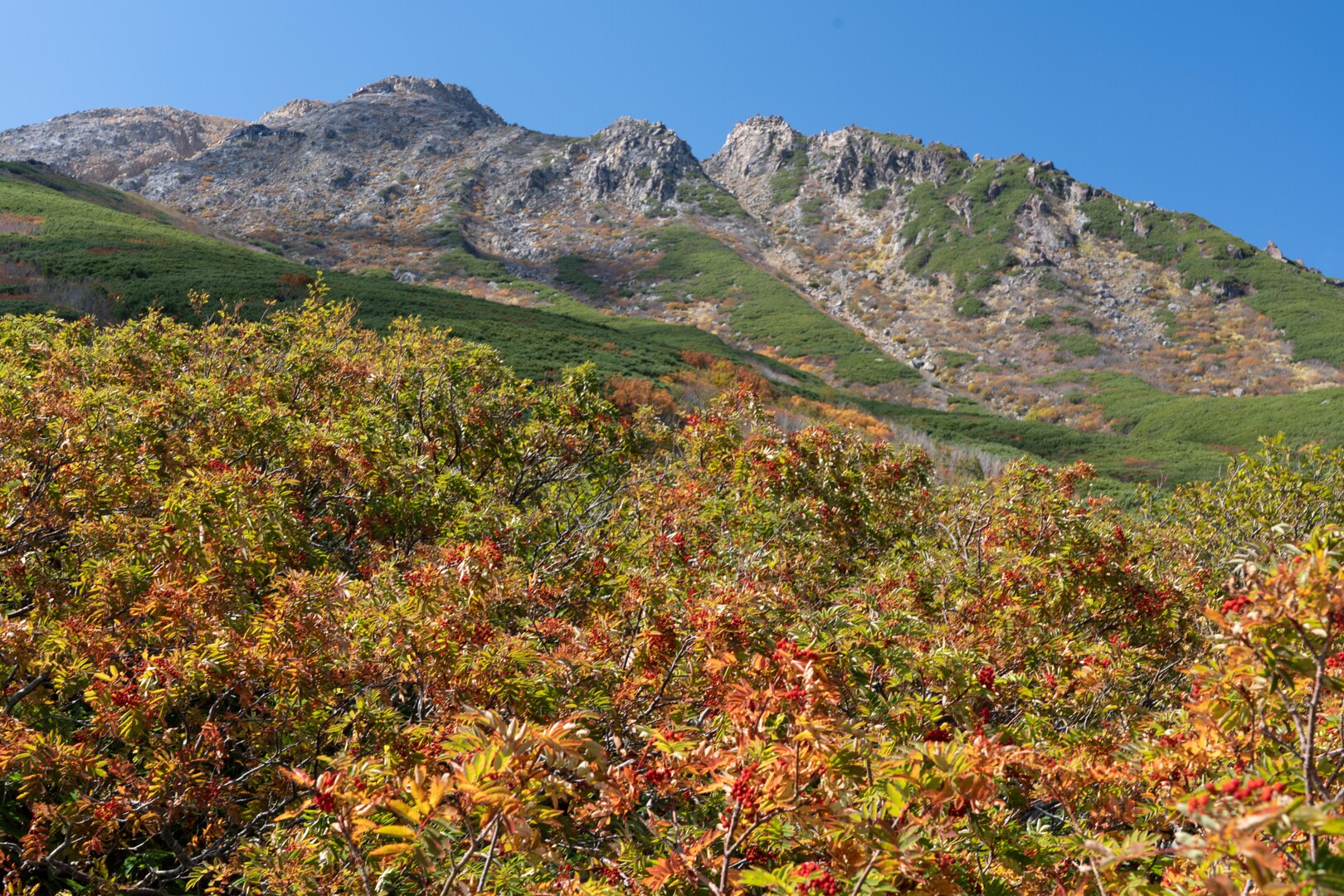 御嶽山（剣ヶ峰） / Masa.Rさんの御嶽山・継子岳・摩利支天山の活動データ | YAMAP / ヤマップ