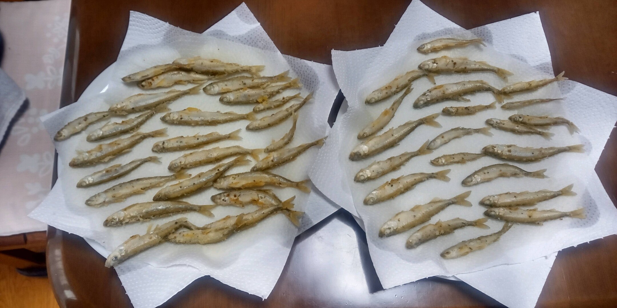 今日の釣果、一昨日の半分＝1束/2。 今... / bakkyさんのモーメント | YAMAP / ヤマップ