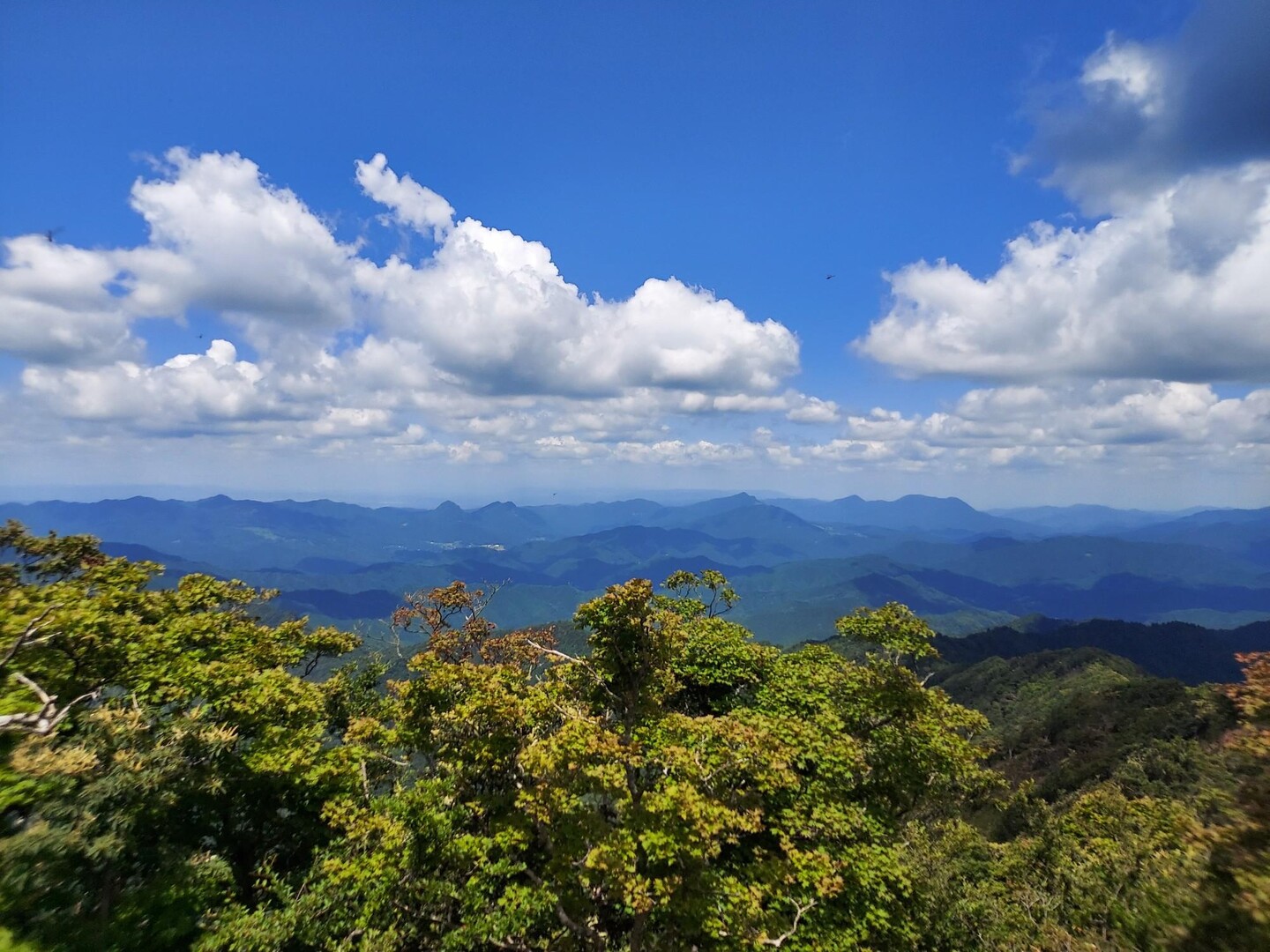 高見山ハイキング / ree-koさんの高見山・黒石山・天狗山の活動データ | YAMAP / ヤマップ