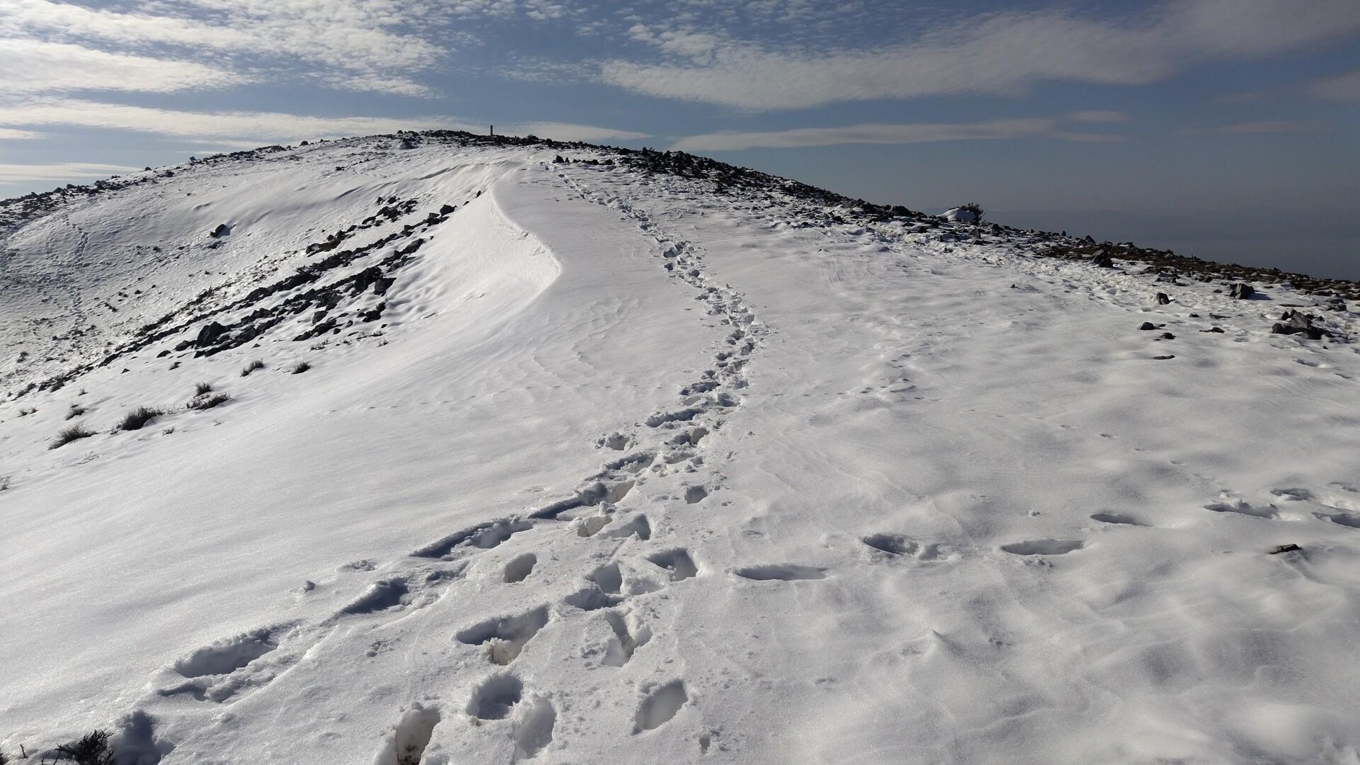 経塚山・霊仙山 / masajiさんの霊仙山の活動データ | YAMAP / ヤマップ
