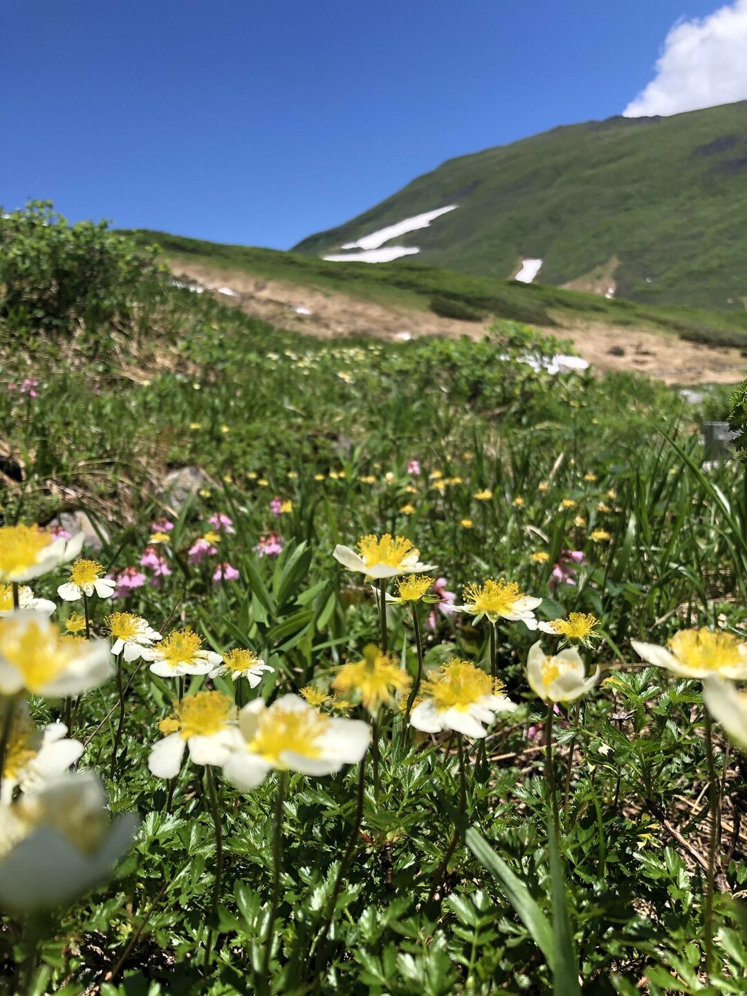 月山・姥ヶ岳（姥沢登山口） / kaz_tooさんの月山の活動データ | YAMAP / ヤマップ
