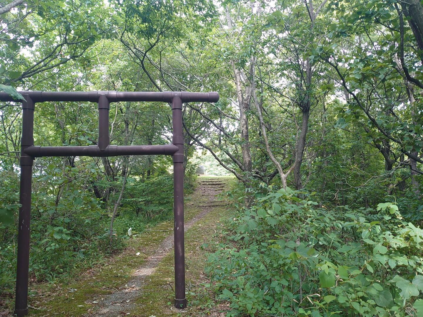 飯岡山① / aer0ckさんの秋田市の活動データ | YAMAP / ヤマップ