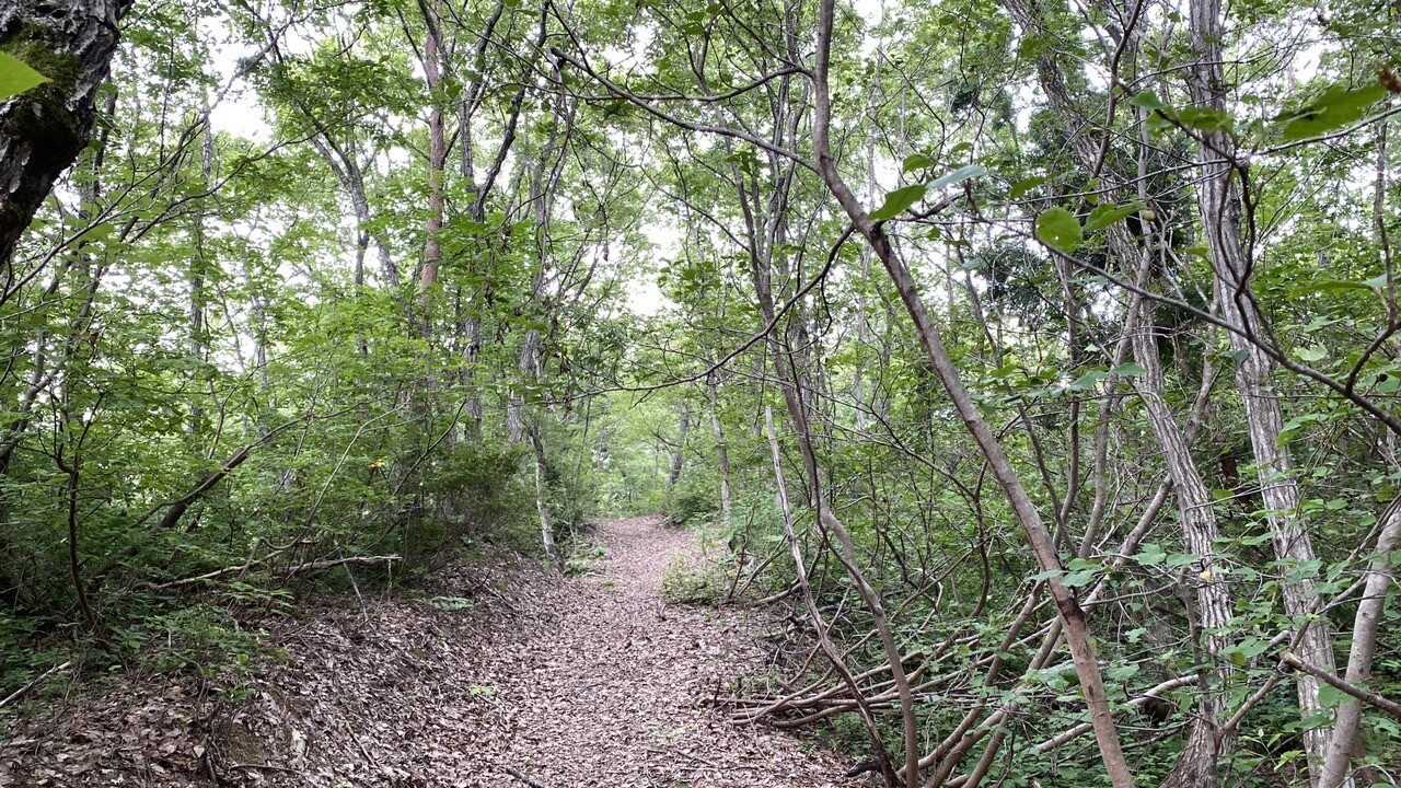 おぐに森林公園 2km RUN周遊コース / Genさんのウォーキングの活動データ | YAMAP / ヤマップ