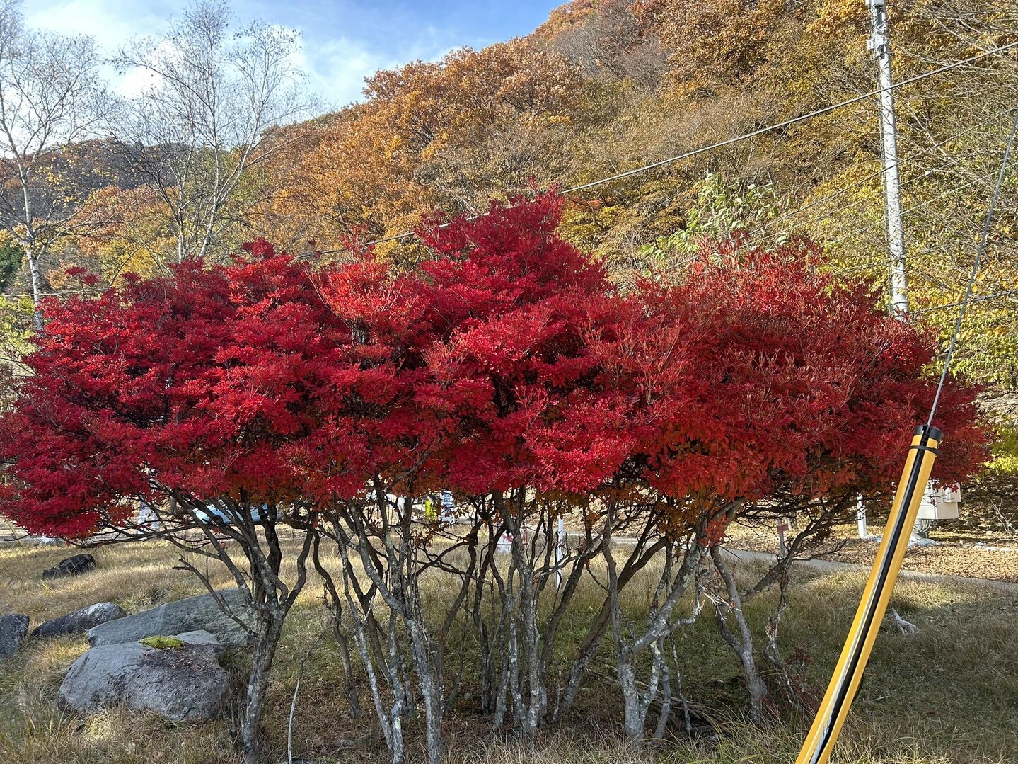 備前楯山 / yamajazzさんの社山・半月山の活動データ | YAMAP / ヤマップ