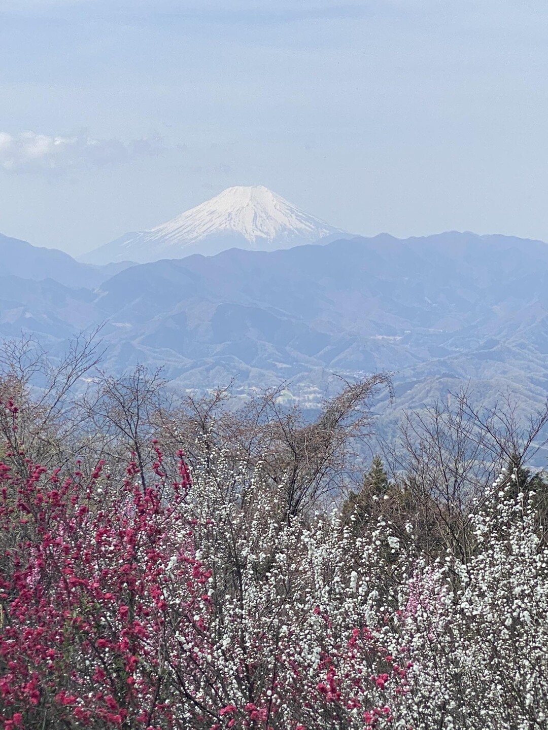 日影沢から高尾山へ / ユーザーakko0502さんの高尾山・陣馬山・景信山の活動データ | YAMAP / ヤマップ