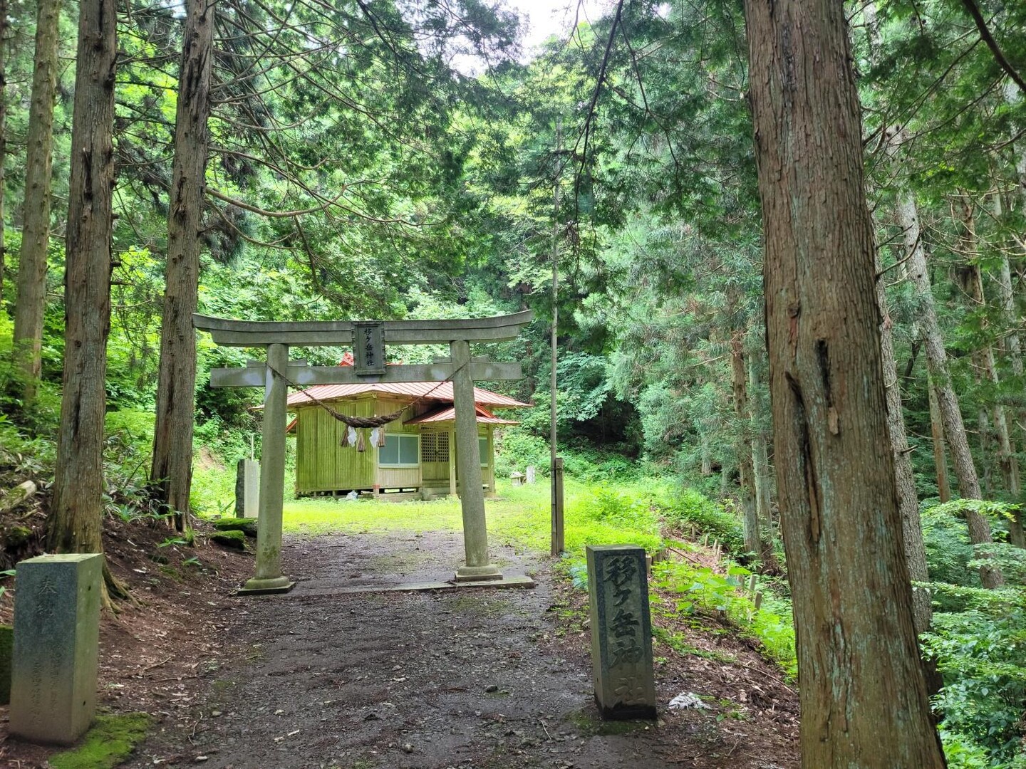 低山で夏を満喫‼️👍移ヶ岳 / kumasakiさんの移ヶ岳の活動データ | YAMAP / ヤマップ