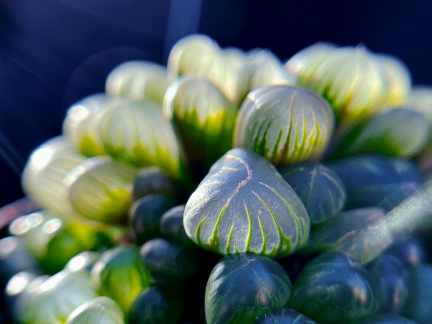 雨も上がり、今朝はいい天気☀️ 昨日... / kazさんのモーメント | YAMAP / ヤマップ