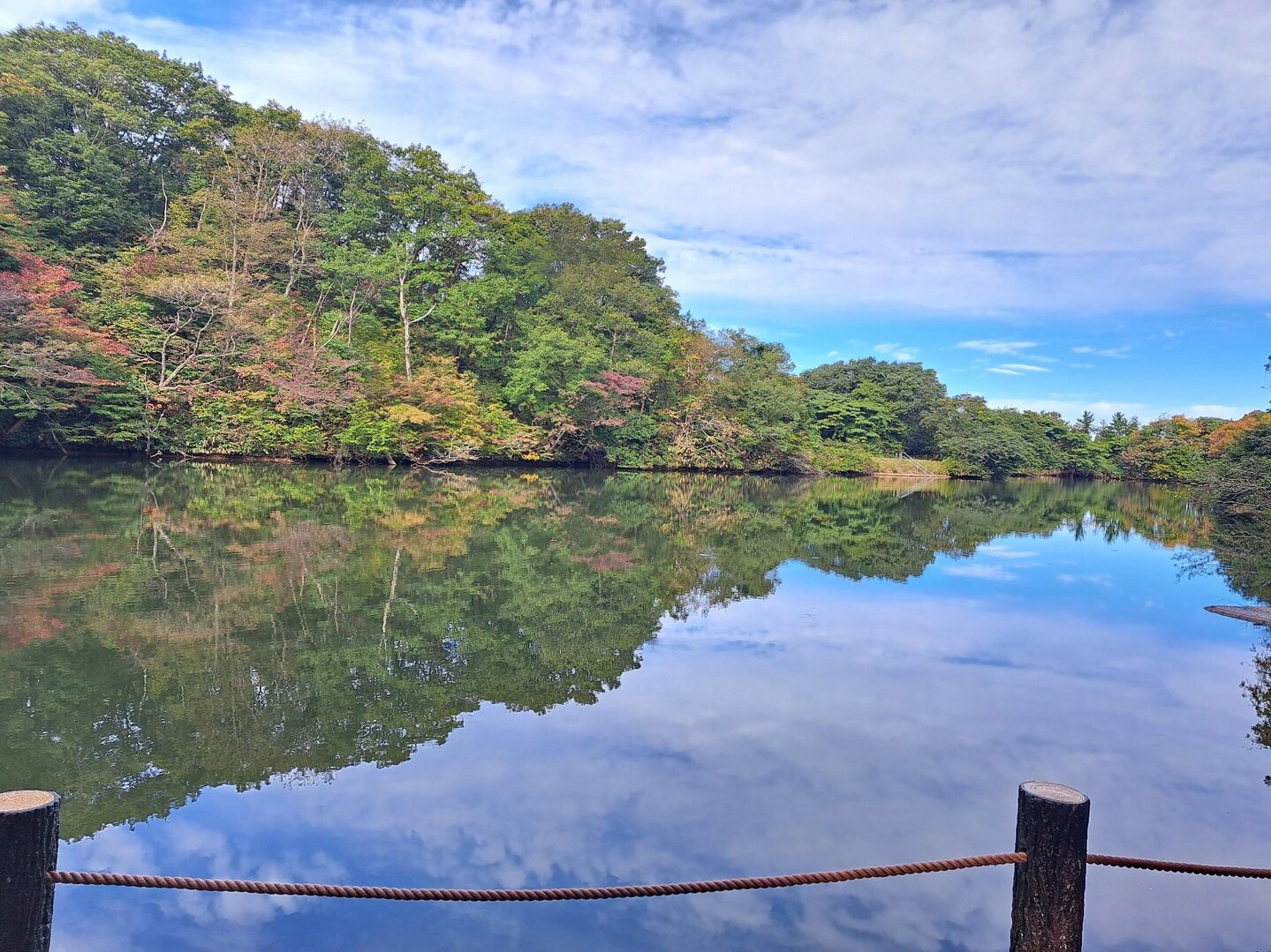 長めにゼロ宝達山DOUBLE / tottinさんの宝達山の活動日記 | YAMAP / ヤマップ
