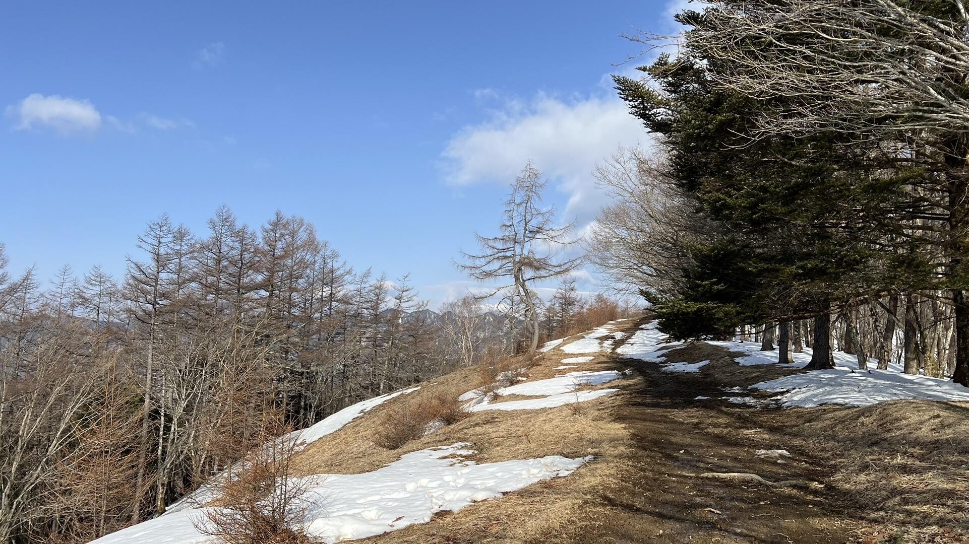 七ツ石山・雲取山〜行きは良い良い、帰りは巻き巻き😅 / publiusさんの雲取山・鷹ノ巣山・七ツ石山の活動データ | YAMAP / ヤマップ