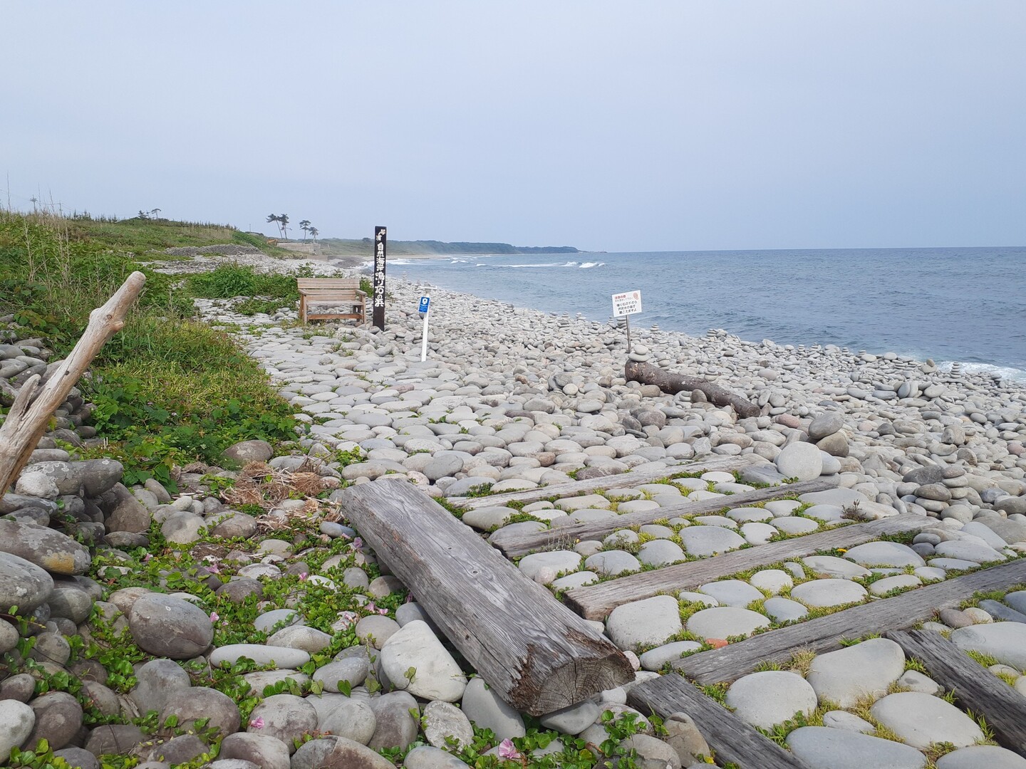 ウォーキング-2022-06-05 / seiさんのウォーキングの活動データ | YAMAP / ヤマップ