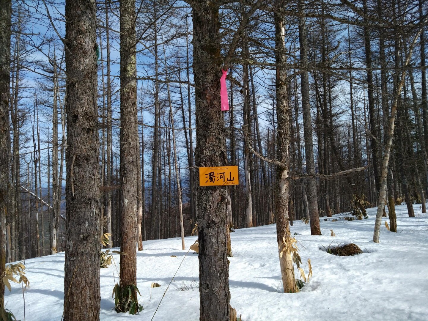 濁河山 JA/GF-028 / muuさんの御嶽山・継子岳・摩利支天山の活動データ | YAMAP / ヤマップ