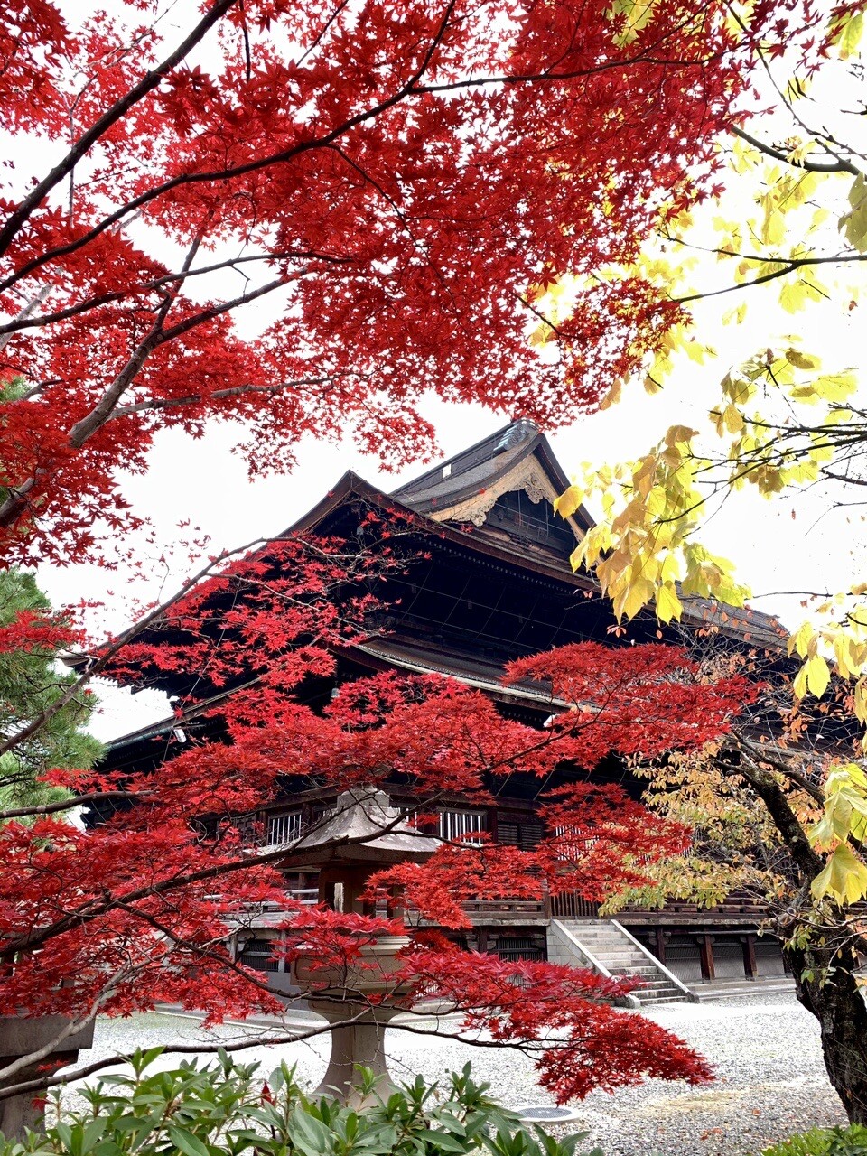孫の七五三で善光寺詣り 早いものでもう... / コバQさんのモーメント | YAMAP / ヤマップ