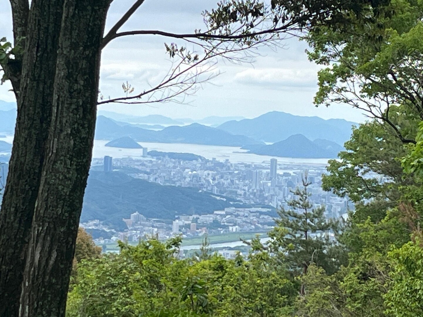 権現山・阿武山 / U’Zさんの阿武山・野登呂山の活動データ | YAMAP / ヤマップ