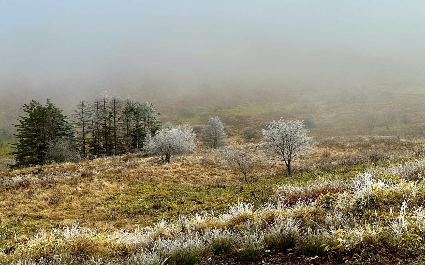 『冬の足音』 霧ヶ峰が静寂に包まれるの... / satokoさんのモーメント | YAMAP / ヤマップ