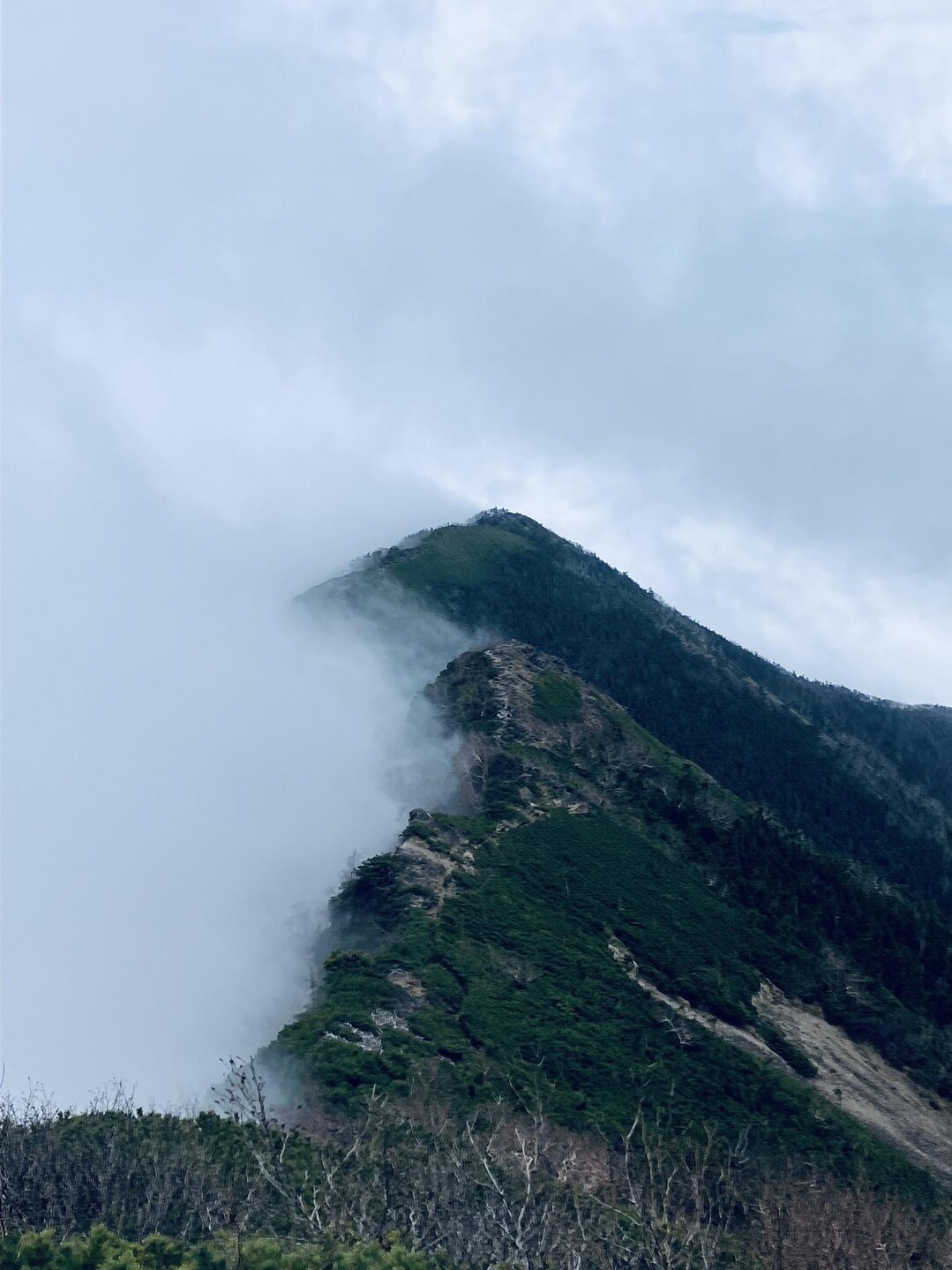 西ギボシ・東ギボシ・権現岳・三ツ頭 / tykmktさんの八ヶ岳（赤岳・硫黄岳・天狗岳）の活動データ | YAMAP / ヤマップ