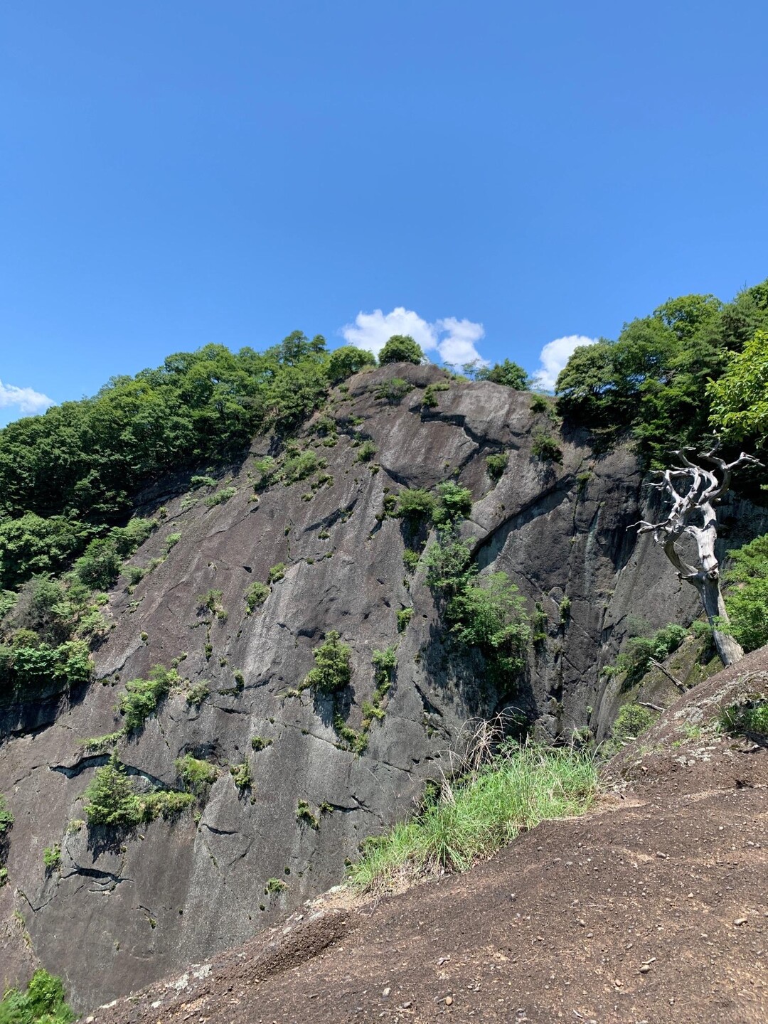 秀麗富嶽十二景 岩殿山はトレーニング / nonnonさんの雁ヶ腹摺山・岩殿山の活動データ | YAMAP / ヤマップ