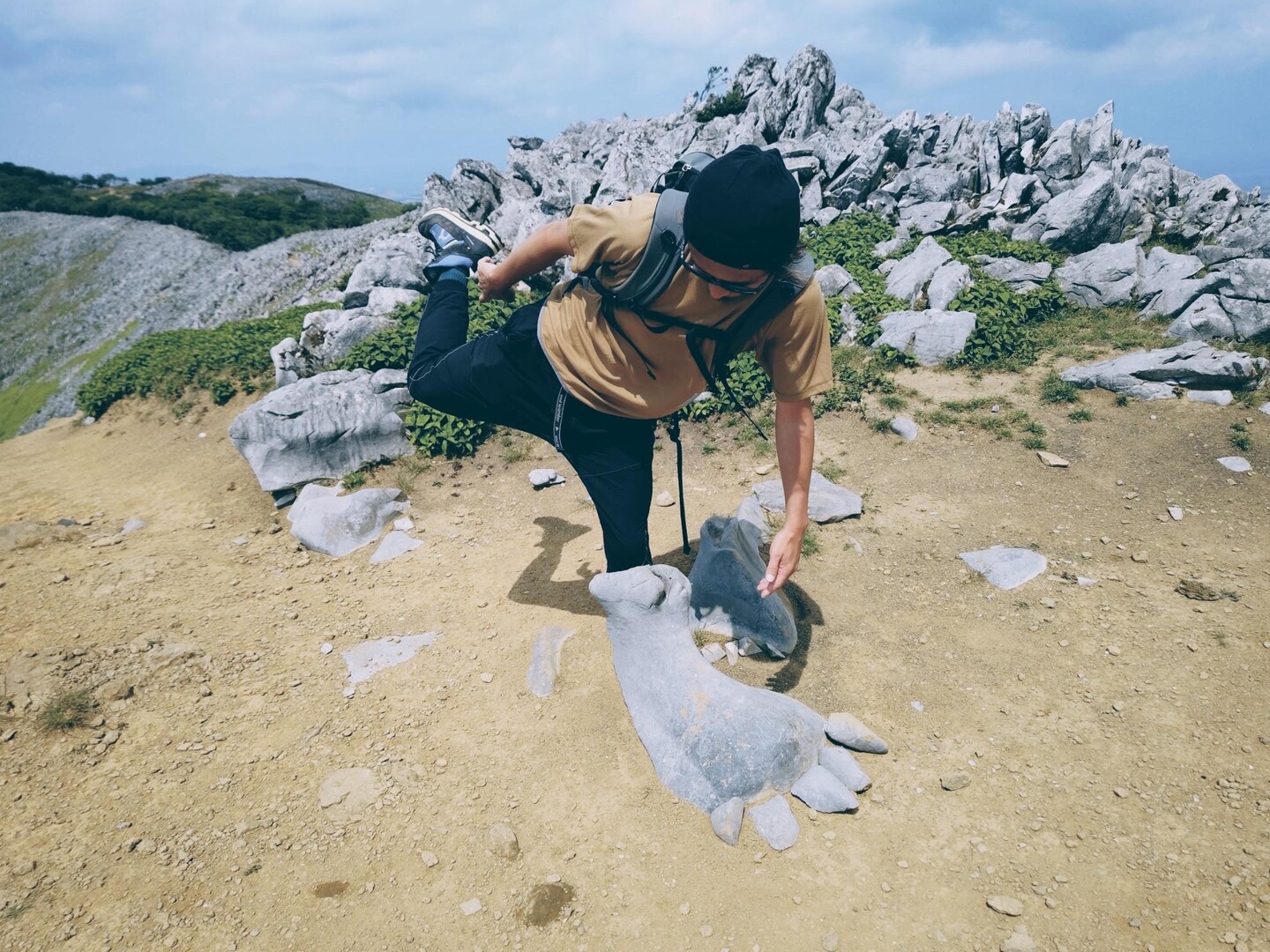 初夏霊仙 / rnrさんの霊仙山の活動データ | YAMAP / ヤマップ