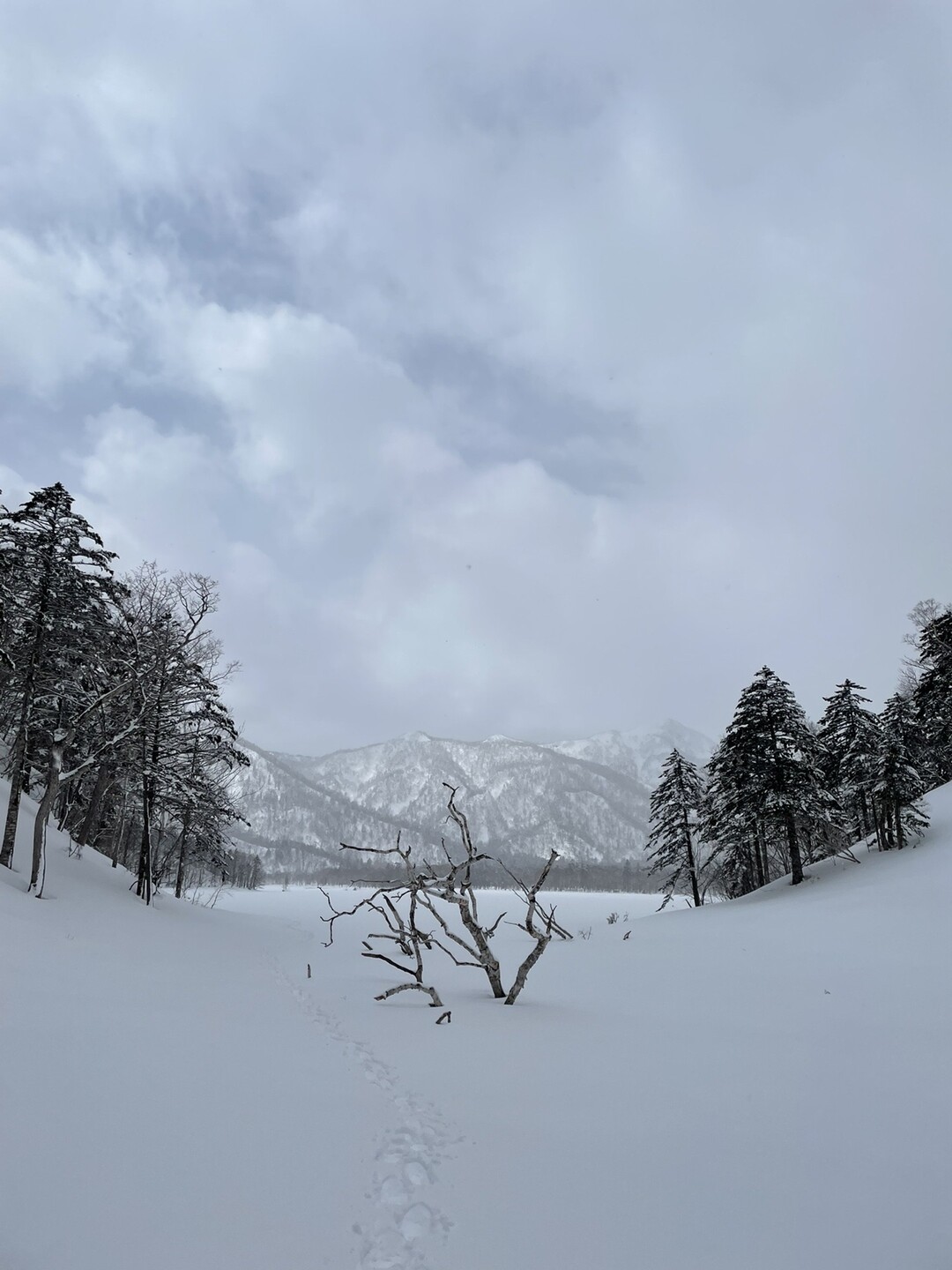 オコタンペ湖 リベンジ！！ / ayuさんの漁岳の活動データ | YAMAP / ヤマップ