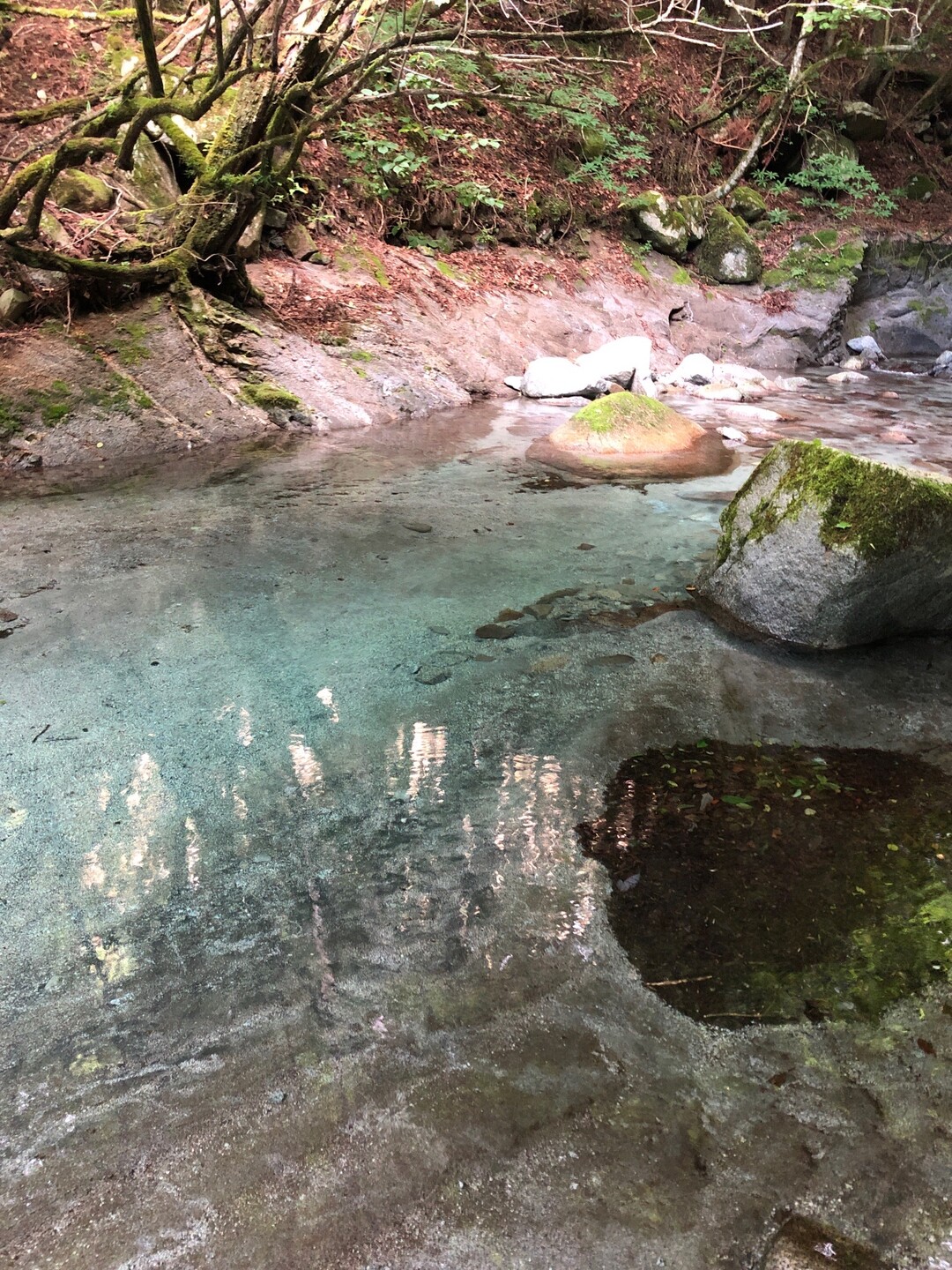 畦ヶ丸山 / tykmktさんの大室山・畦ヶ丸山・菰釣山の活動データ | YAMAP / ヤマップ