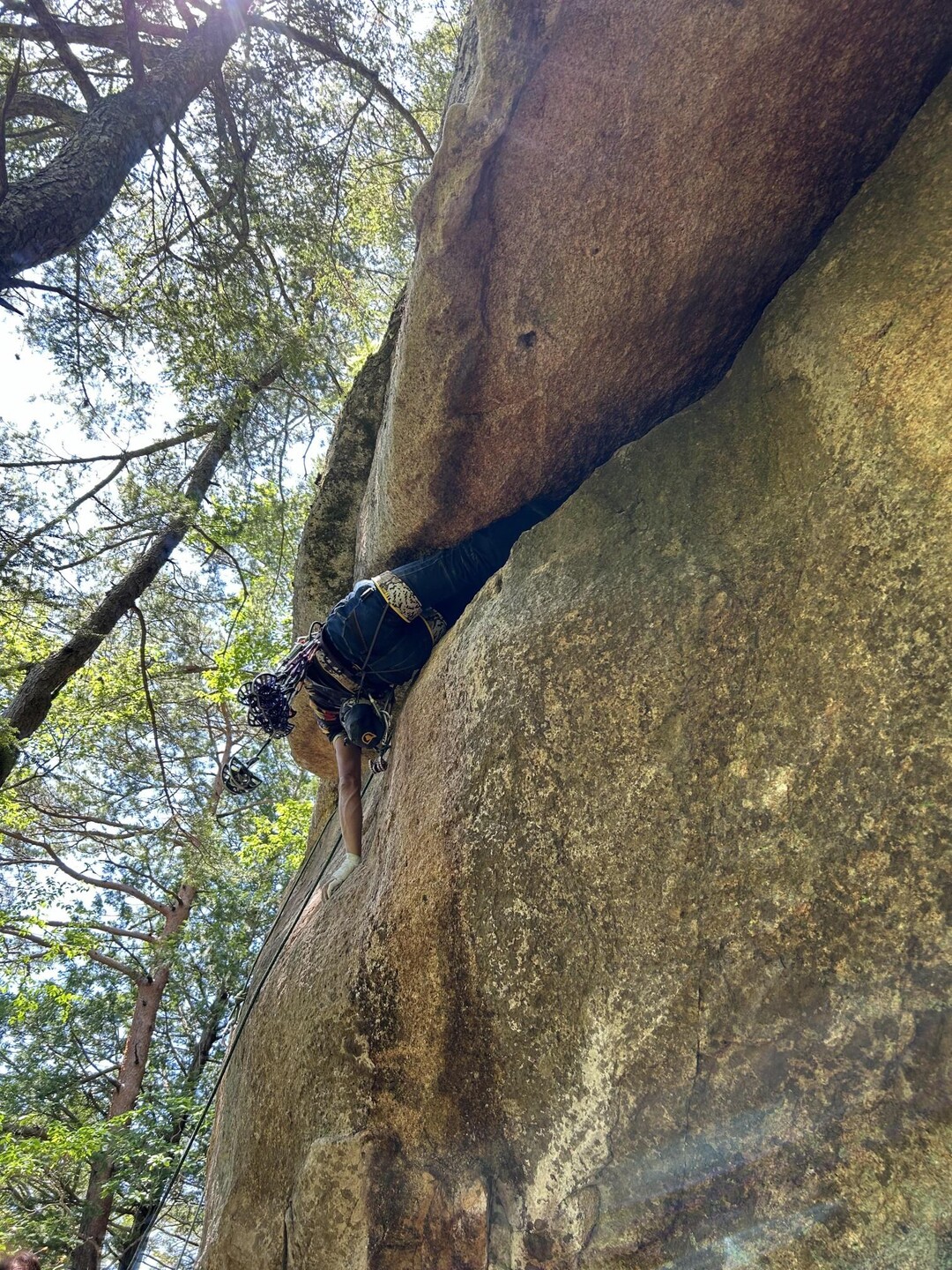 瑞牆山 レッド&イエローエリア / suzuさんの瑞牆山・金峰山の活動データ | YAMAP / ヤマップ