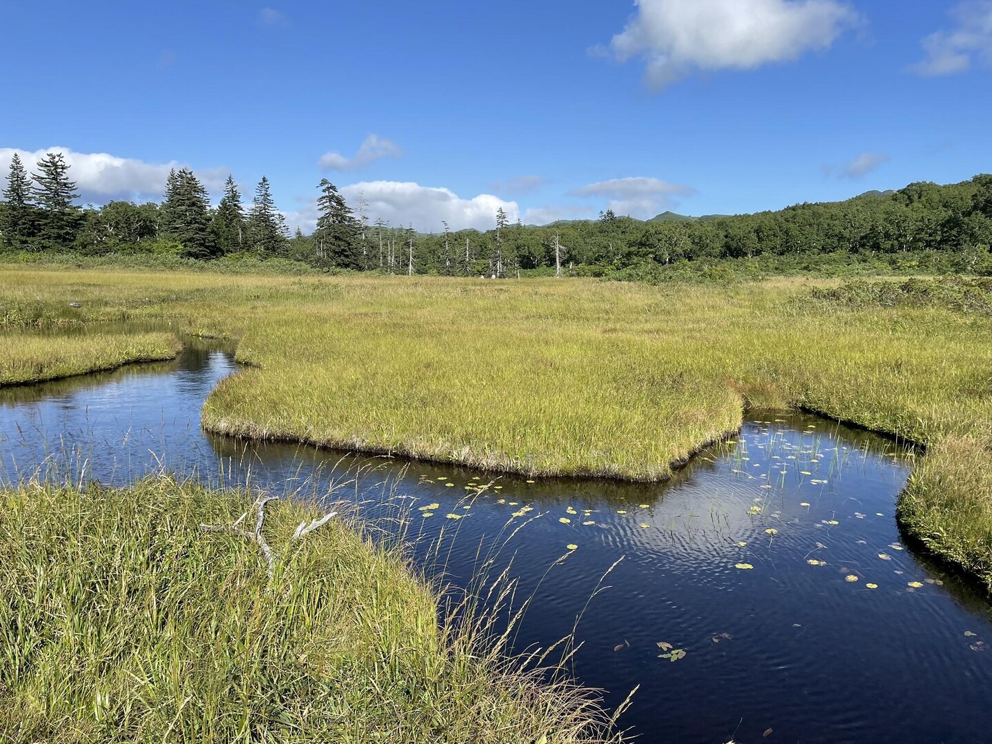 秋晴れの神仙沼 / tokoさんのウォーキングの活動データ | YAMAP / ヤマップ