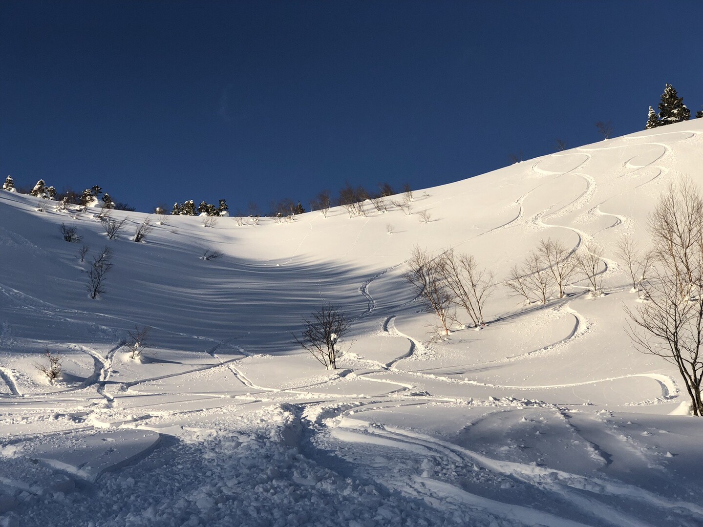 八甲田山・高田大岳・雛岳-2019-02-18 / Kozyさんの八甲田山・高田大岳・雛岳の活動データ | YAMAP / ヤマップ