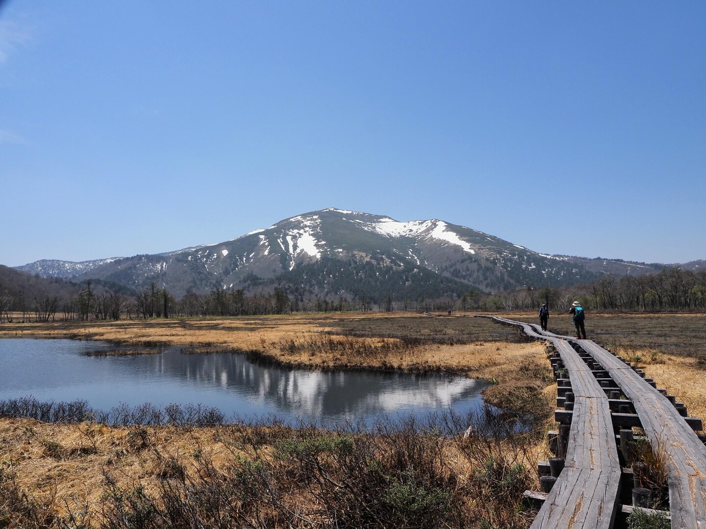 アヤメ平〜尾瀬ケ原 / Hikoさんの尾瀬・至仏山・悪沢岳・笠ヶ岳の活動日記 | YAMAP / ヤマップ
