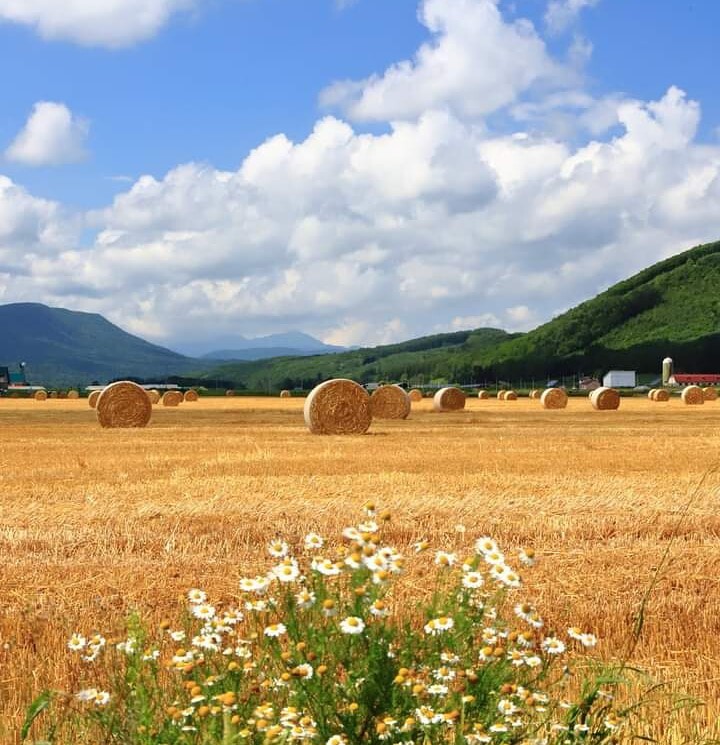 今年の夏は北海道も暑い / かずたOKTさんのモーメント | YAMAP / ヤマップ