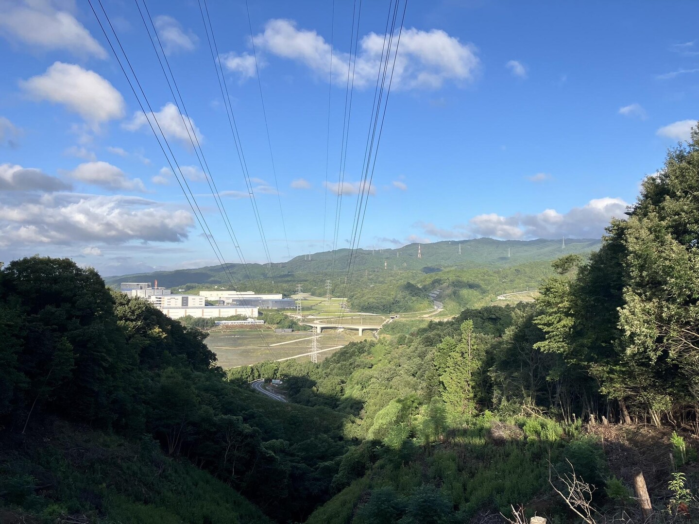 阿武山・竜王山 / Fumiさんの竜王山・阿武山の活動データ | YAMAP / ヤマップ