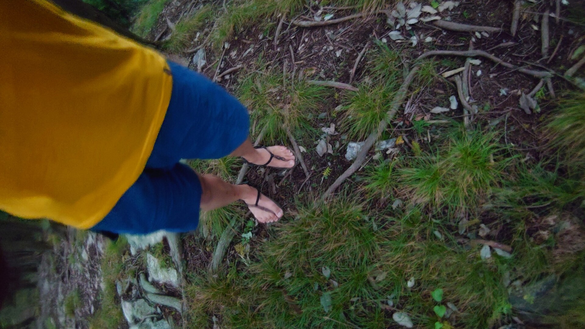 どんより曇りゾラの2山朝練 / ta2さんの鳴神山・吾妻山の活動データ | YAMAP / ヤマップ