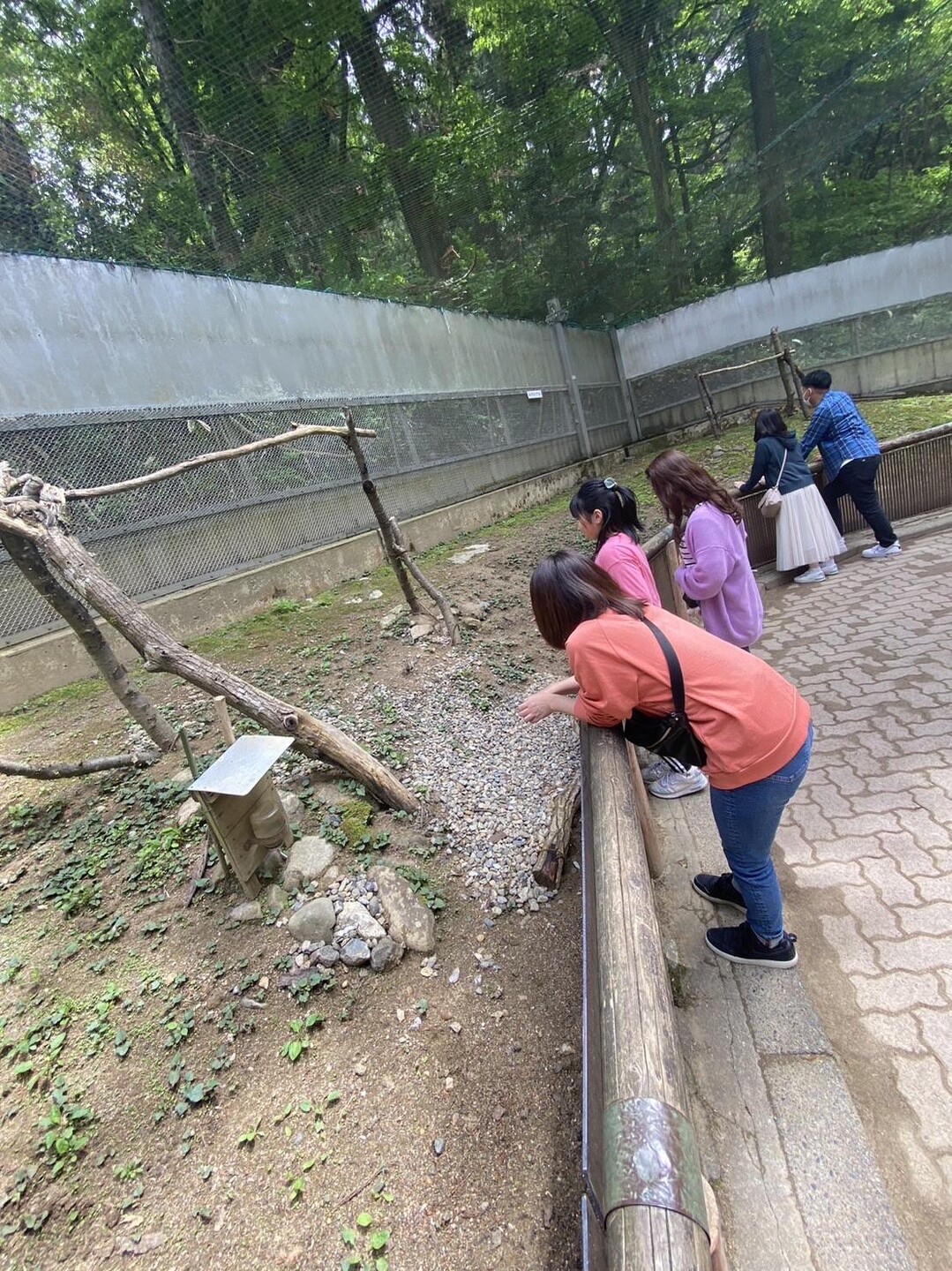 みんなでリス公園行って🐿鯉のぼり見て ... / ma_0829🦣さんのモーメント | YAMAP / ヤマップ