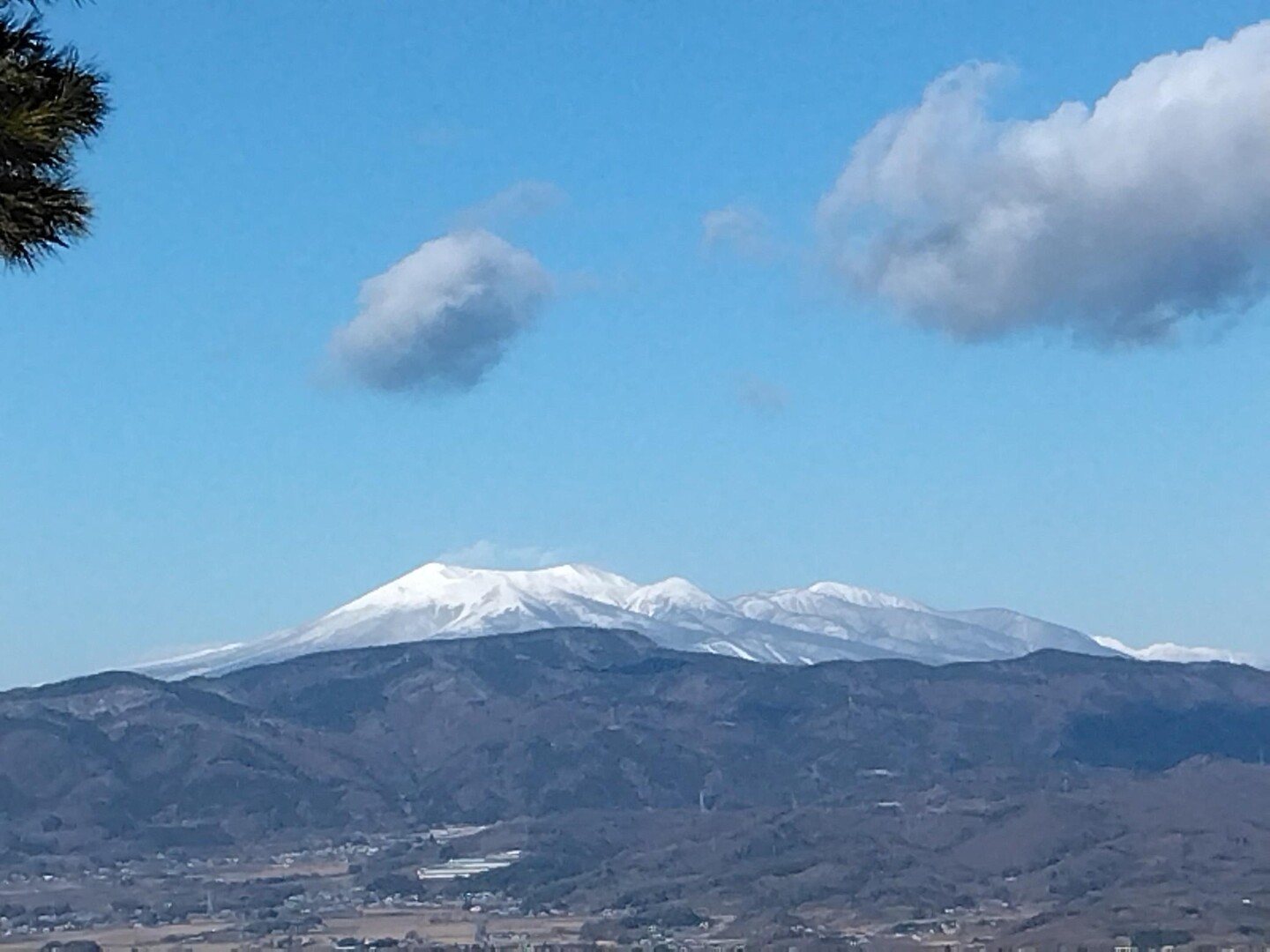登り納め⛰️ミラクル鹿頭山 / mi-canさんの徳ヶ森の活動データ | YAMAP / ヤマップ