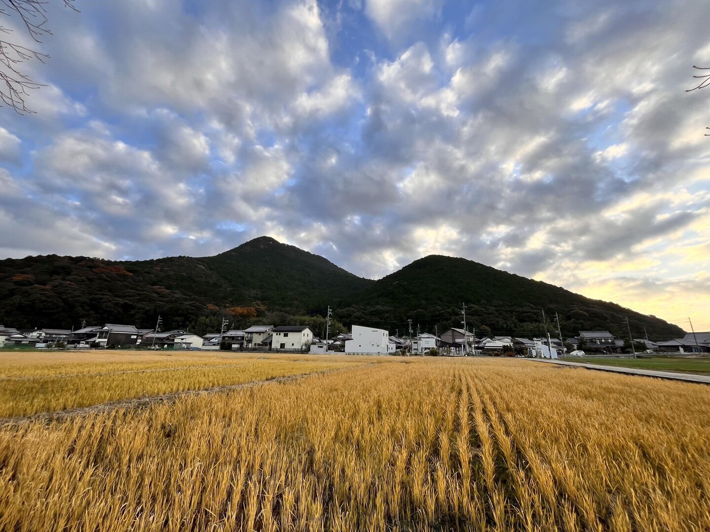 317-817 三上山（近江富士） / nikomoさんの三上山・鏡山の活動データ | YAMAP / ヤマップ