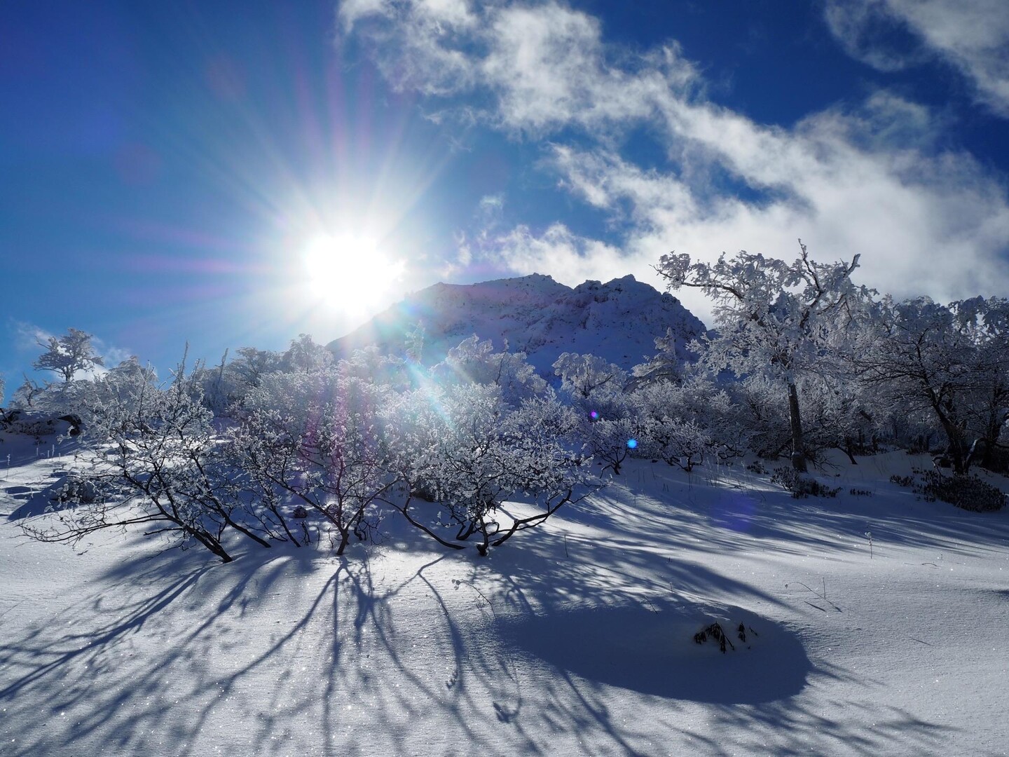 日光白根山 (菅沼〜) / meguさんの日光白根山・五色山・錫ヶ岳の活動日記 | YAMAP / ヤマップ