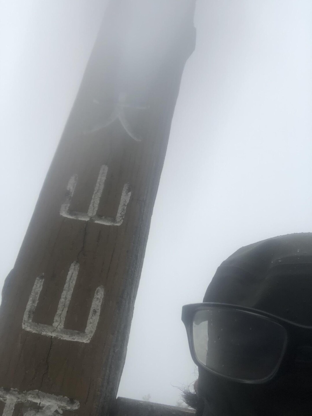 大山-2023-06-22 / hirocさんの大山の活動データ | YAMAP / ヤマップ