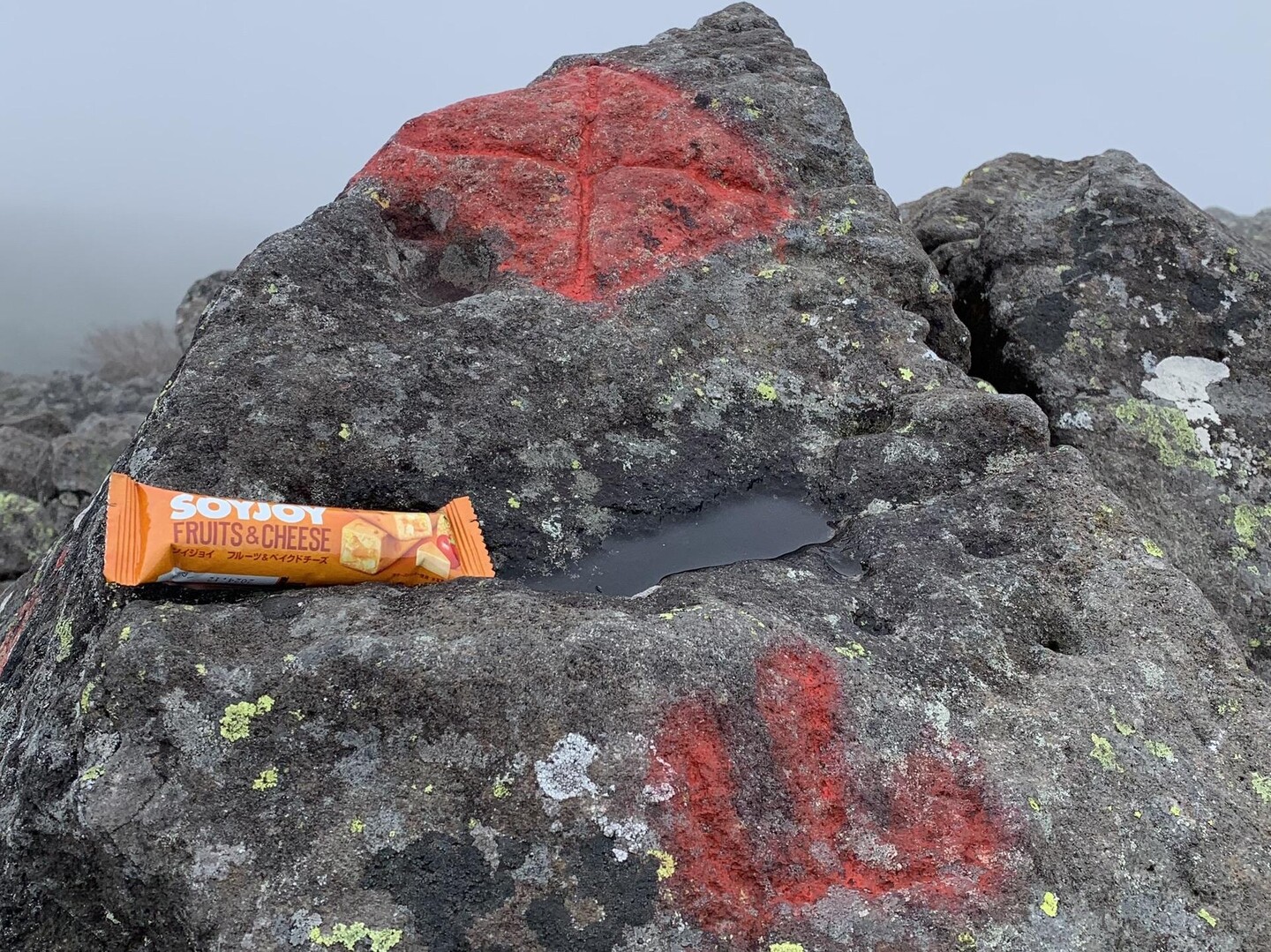 地下足袋蓼科山🪨すずらん峠ピストントレ / jucca🍎さんの八ヶ岳（赤岳・硫黄岳・天狗岳）の活動データ | YAMAP / ヤマップ