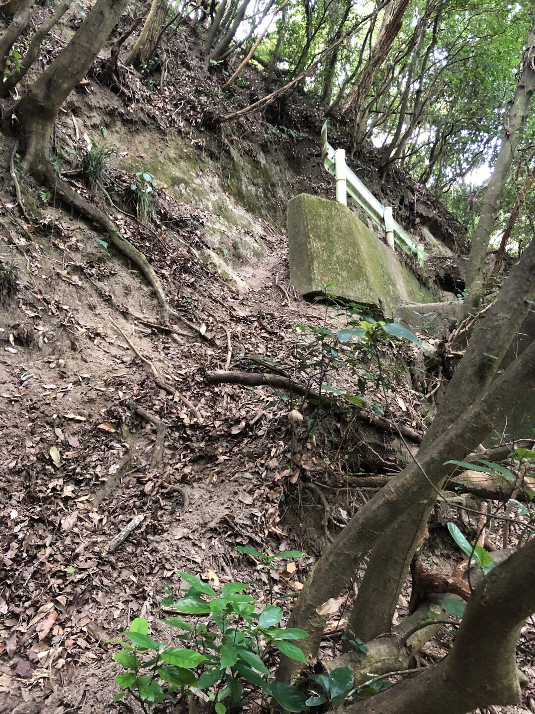 chitoさんの投稿したフィールドメモ | YAMAP / ヤマップ