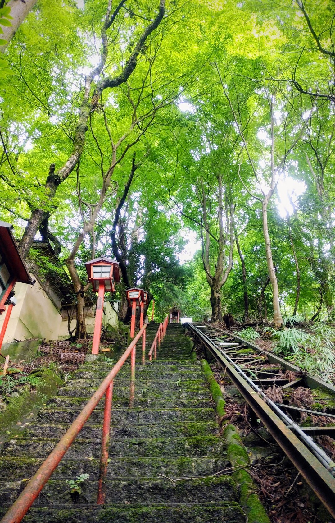 八大龍王日天寺 / Annaさんの京都一周トレイルの活動データ | YAMAP / ヤマップ