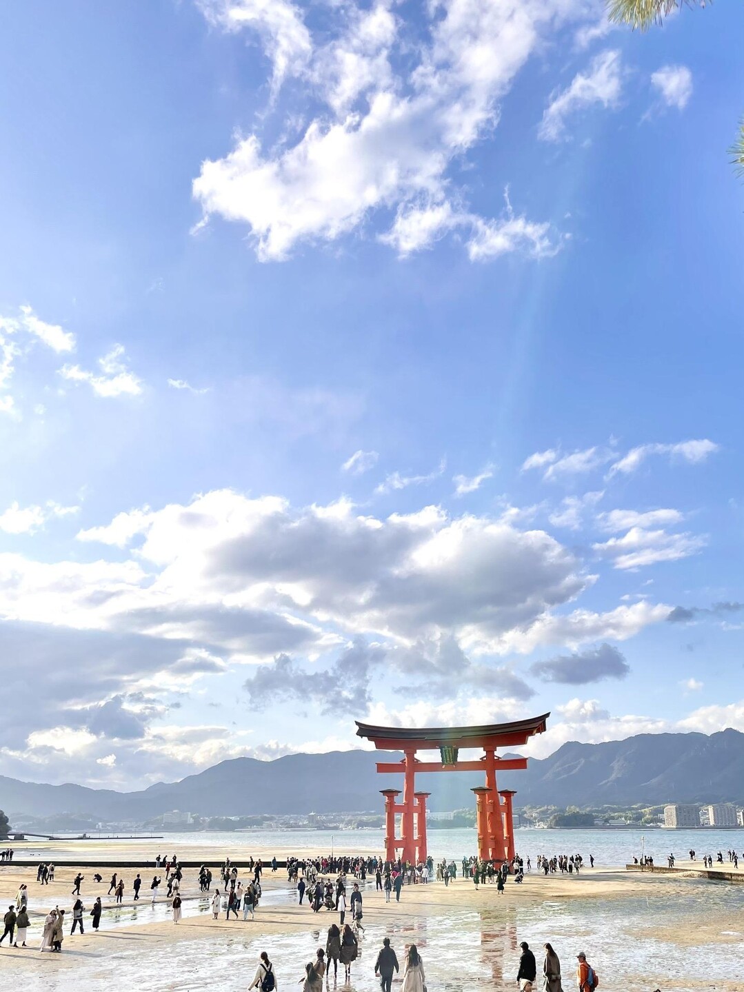 要害山・弥山・駒ヶ林・三剣山 / smzさんの宮島（厳島）・弥山の活動データ | YAMAP / ヤマップ