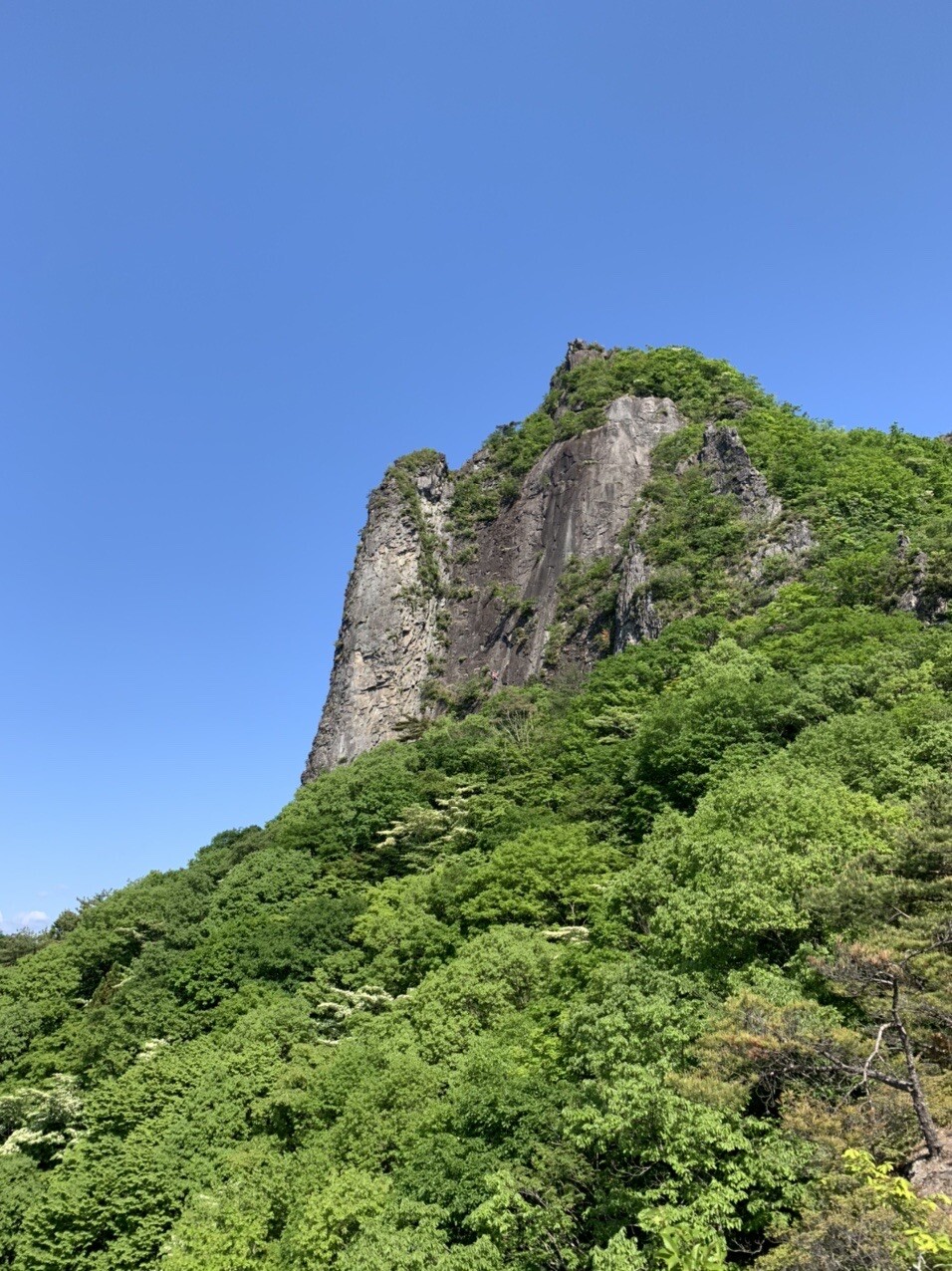 子持山・浅間山 / guyさんの子持山の活動データ | YAMAP / ヤマップ
