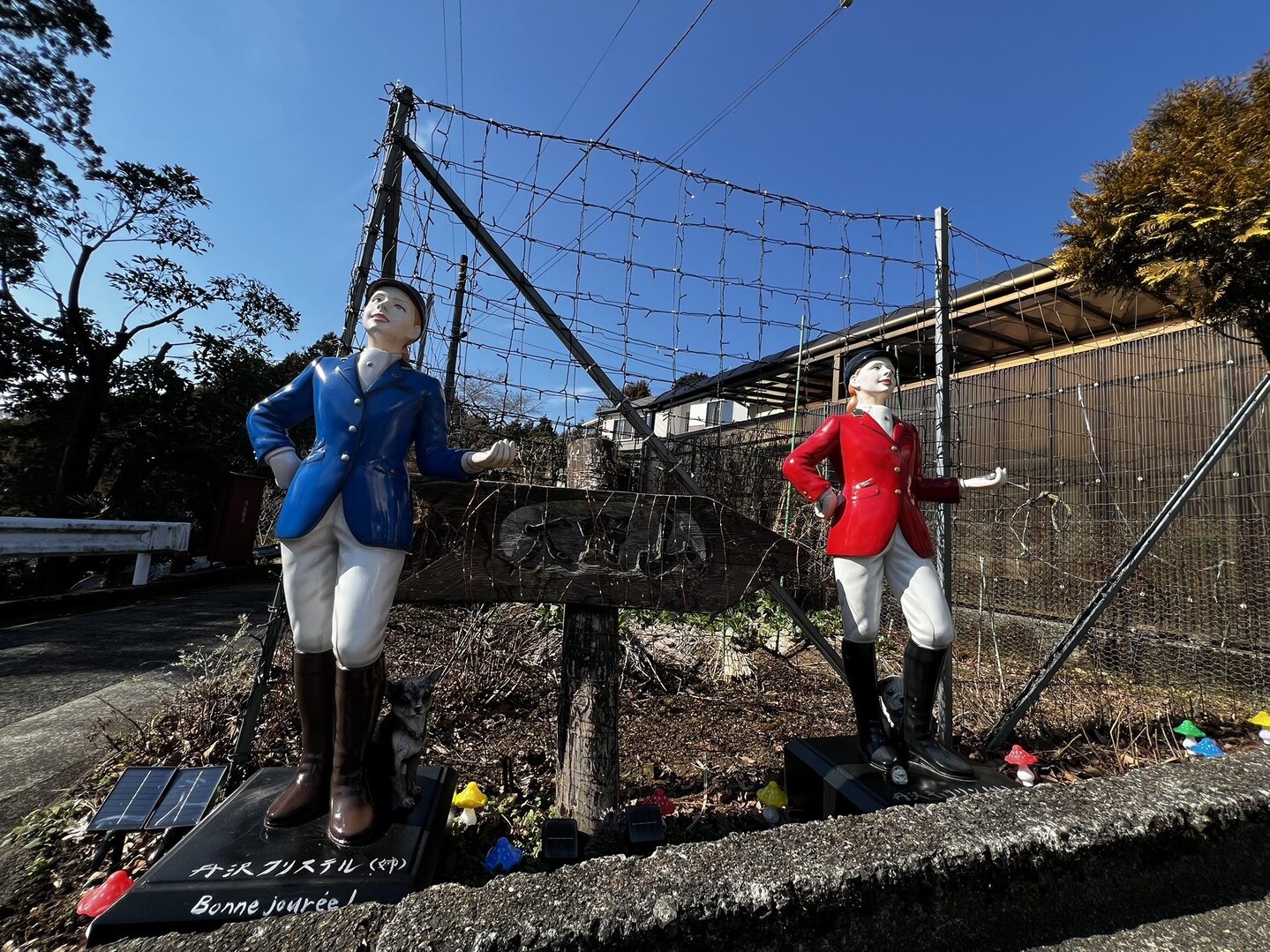 1月末の丹沢クリステル！@大野山 / mitsさんの高松山・大野山の活動データ | YAMAP / ヤマップ