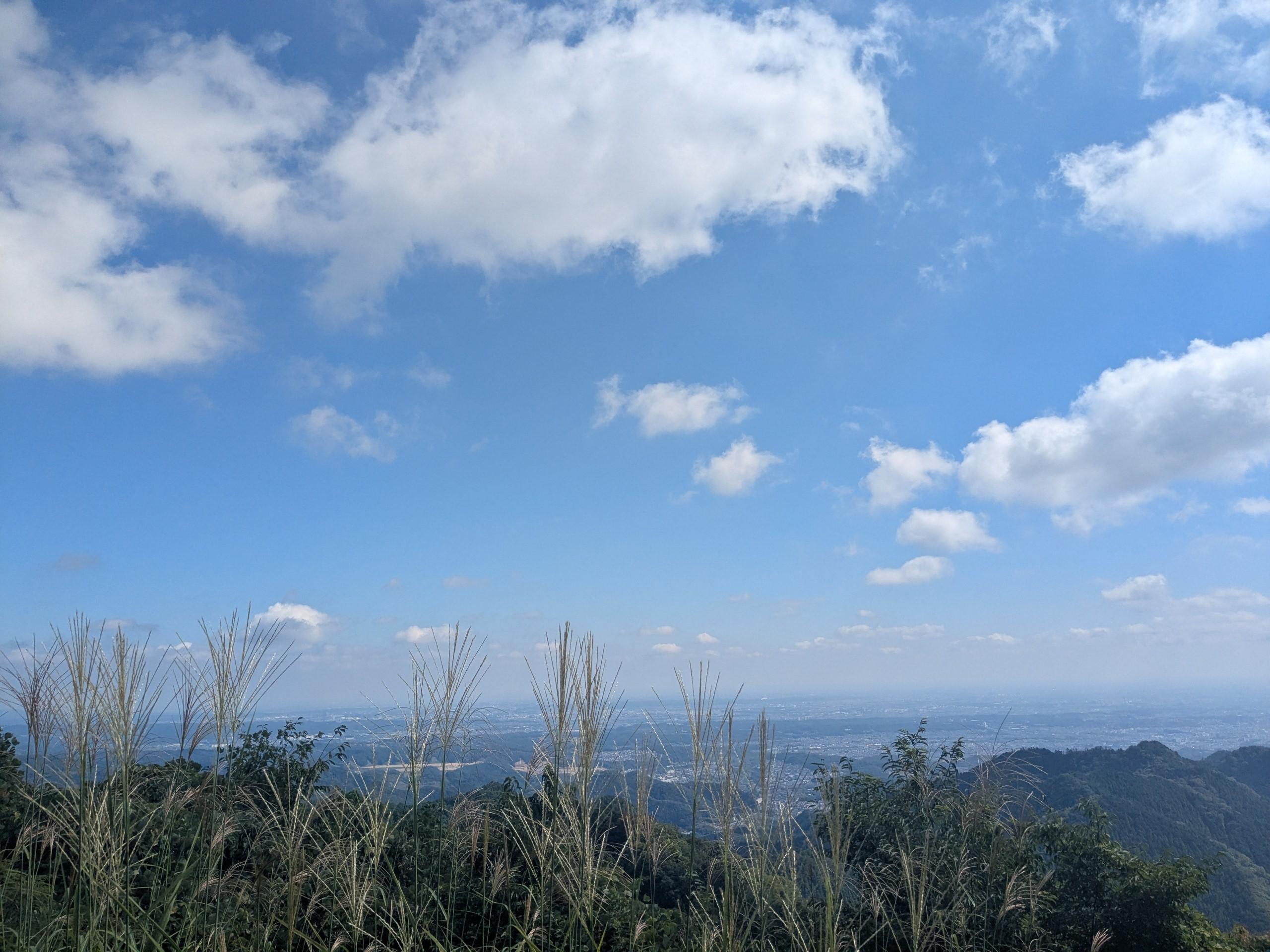高尾山・城山（小仏城山）・景信山・堂所山・赤岩山・富士小屋山・南郷山・陣馬山 / dadadadさんの高尾山・陣馬山・景信山の活動データ | YAMAP / ヤマップ