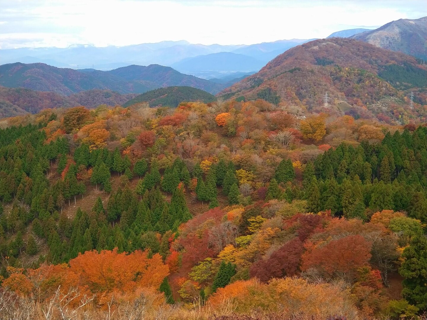 高室山・倉骨山 / YT9さんの高室山の活動データ | YAMAP / ヤマップ